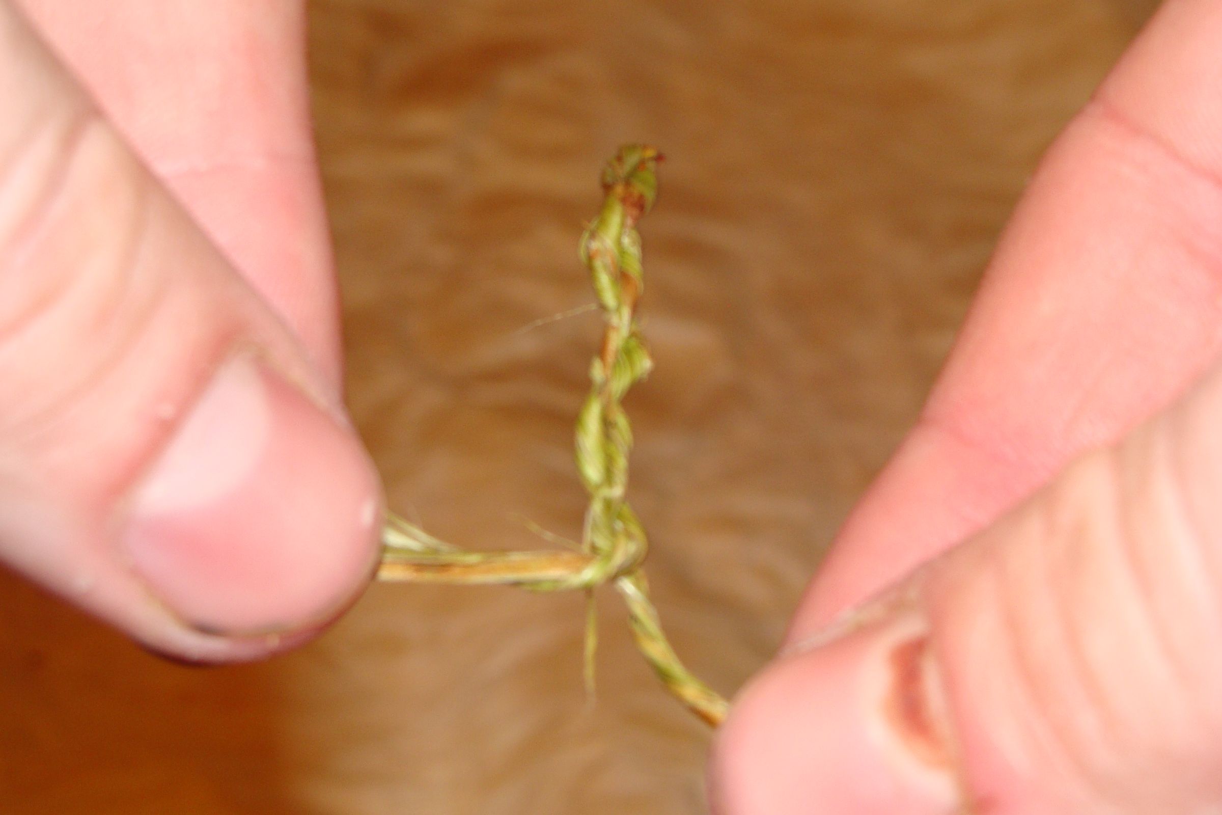 Natural Cordage : 7 Steps (with Pictures) - Instructables
