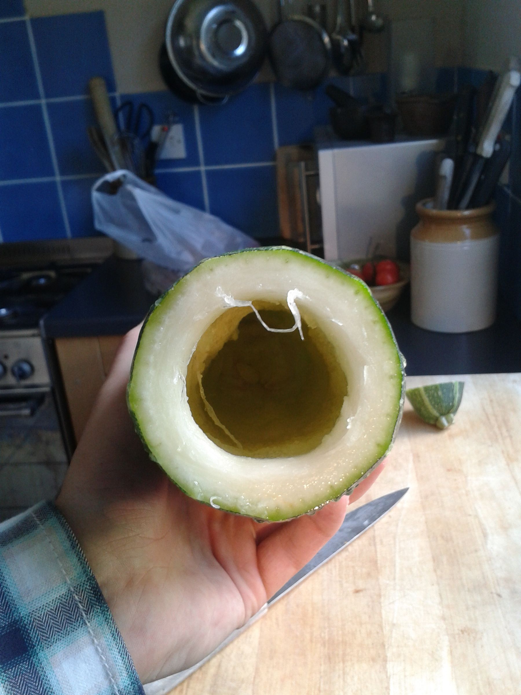 Marrow Rum or "Booze From Otherwise Useless Vegetables" : 7 Steps (with ...