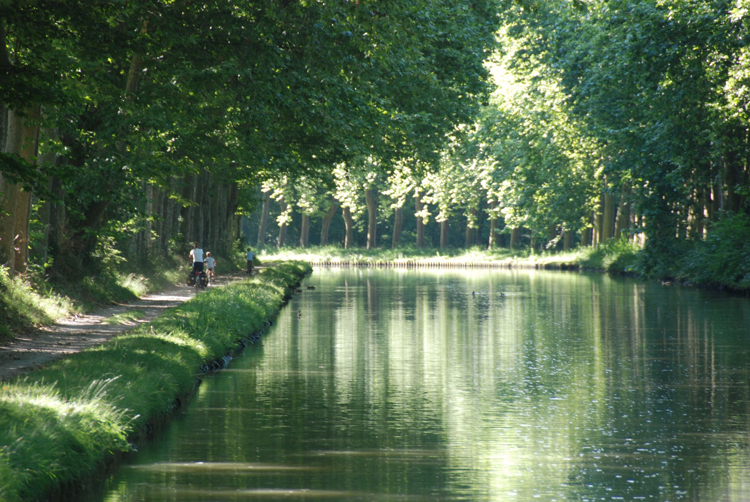 Convert a Child's Bike Trailer Into a Cargo Trailer. : 5 Steps (with ...