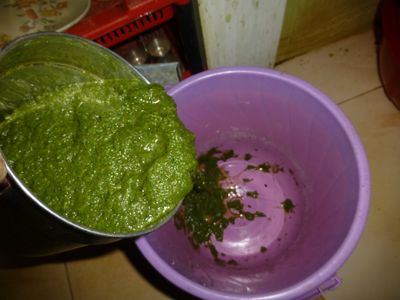 Make Energy From Weeds : 10 Steps (with Pictures) - Instructables