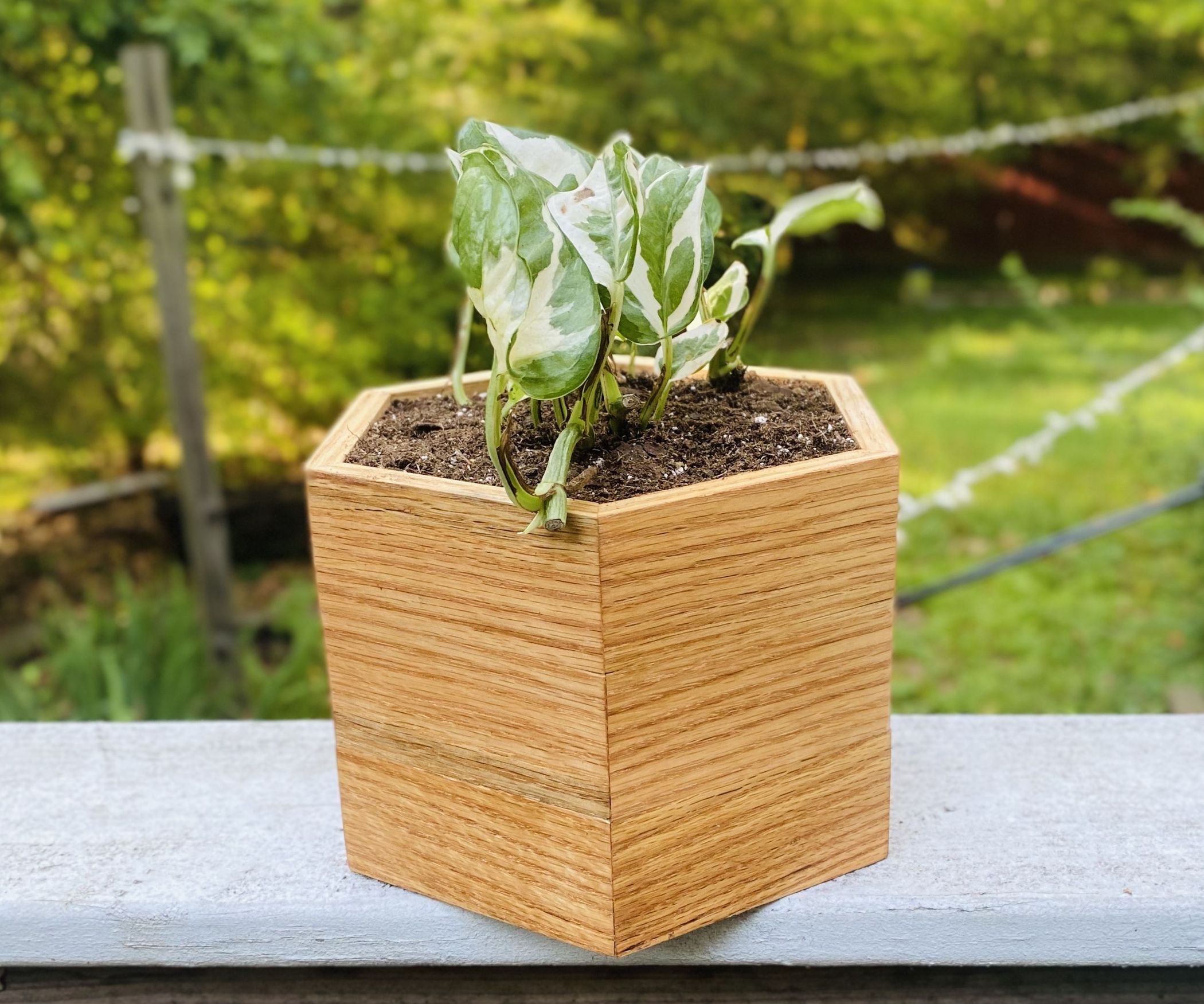 Hexagonal Planter : 6 Steps (with Pictures) - Instructables