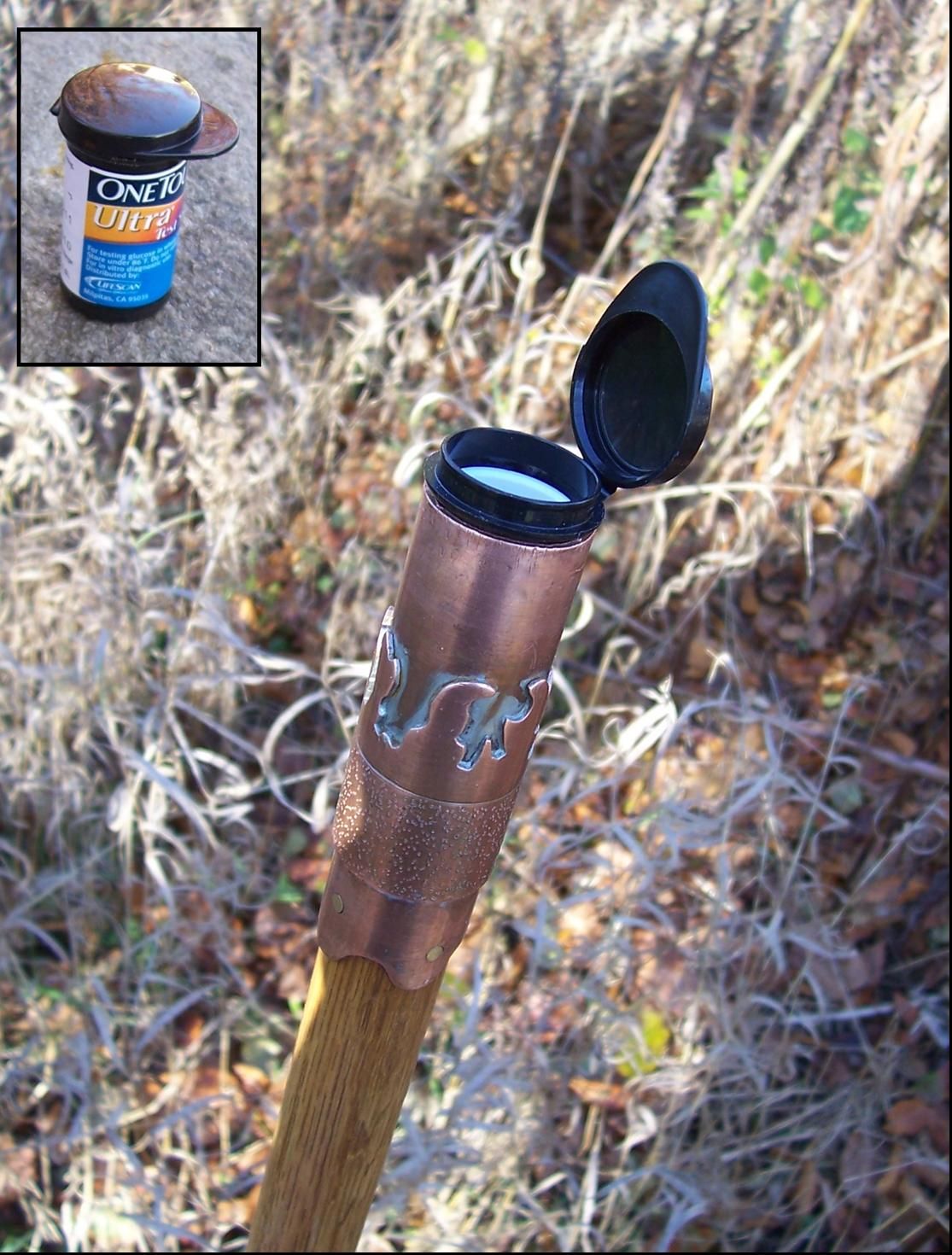 Multi-Function Walking Stick II - Storage Compartment : 10 Steps (with ...