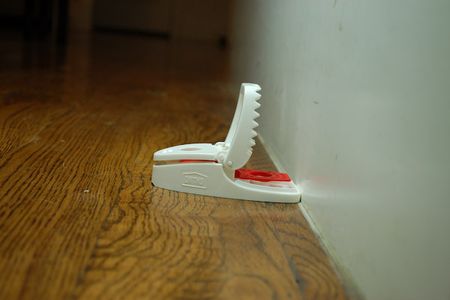 Setting a Mouse Trap | the Best Mouse Trap | Humane Mouse Traps | Glue ...