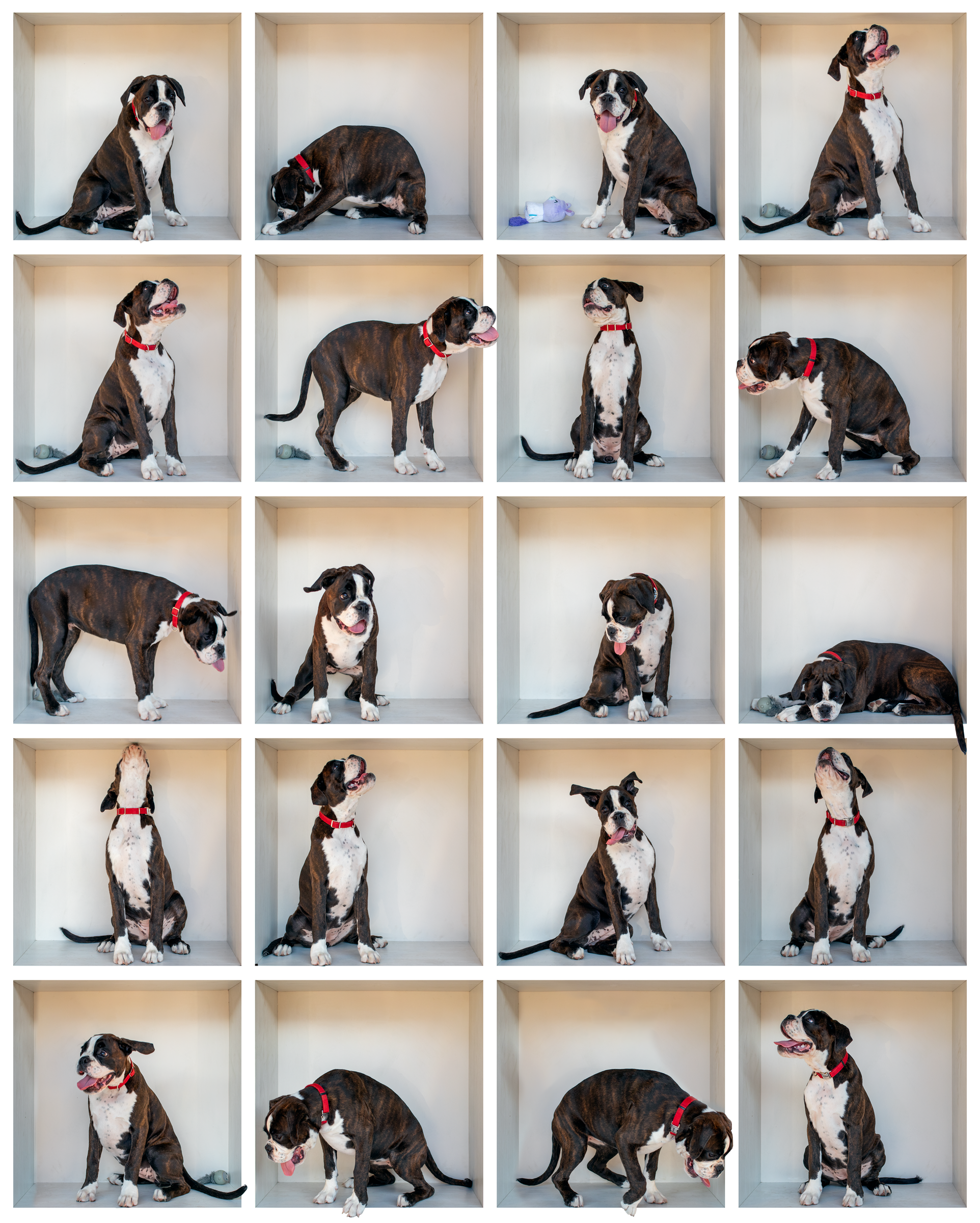 In the Box Photography : 10 Steps (with Pictures) - Instructables