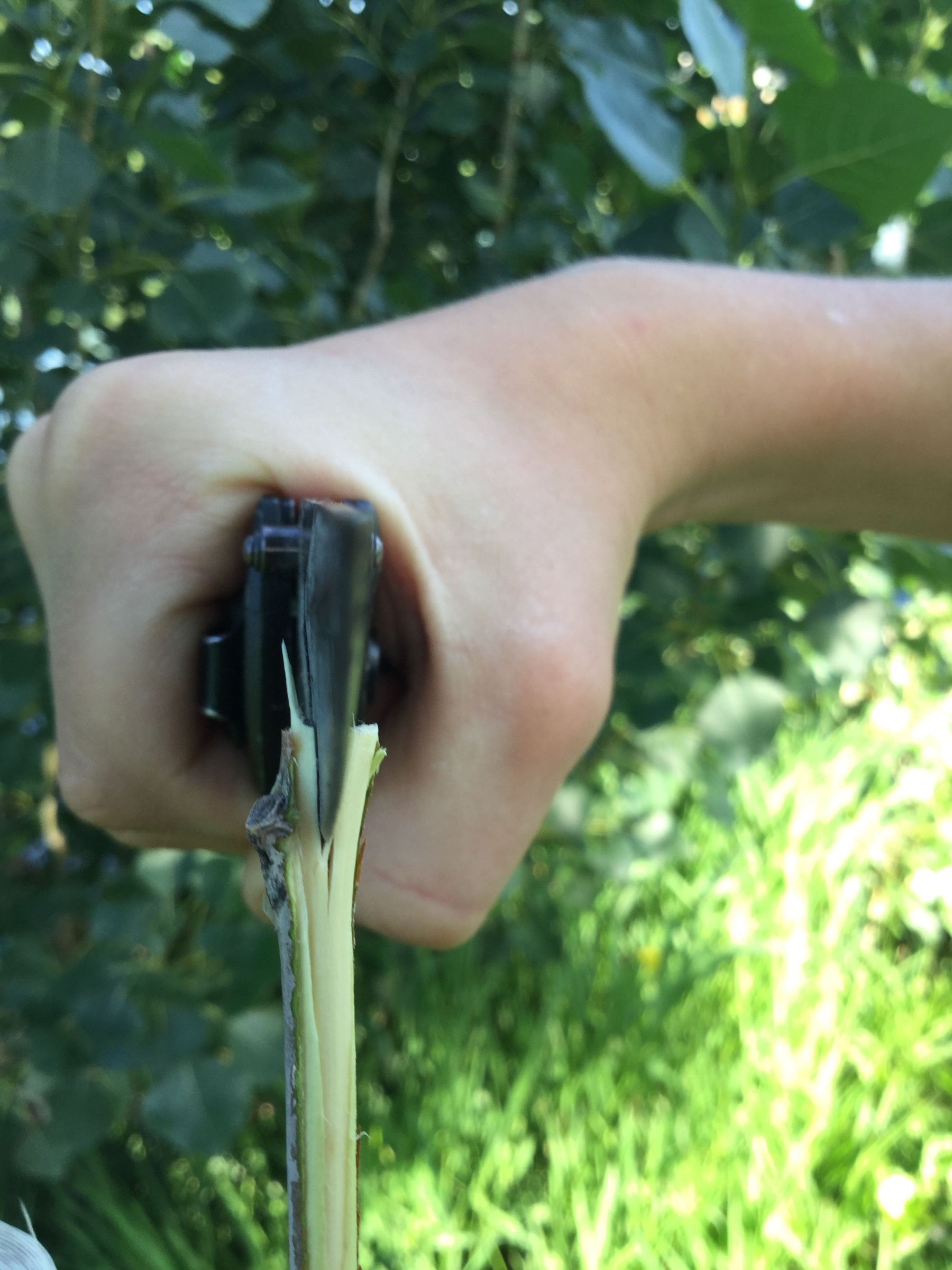 Homemade Bow and Arrow : 7 Steps - Instructables