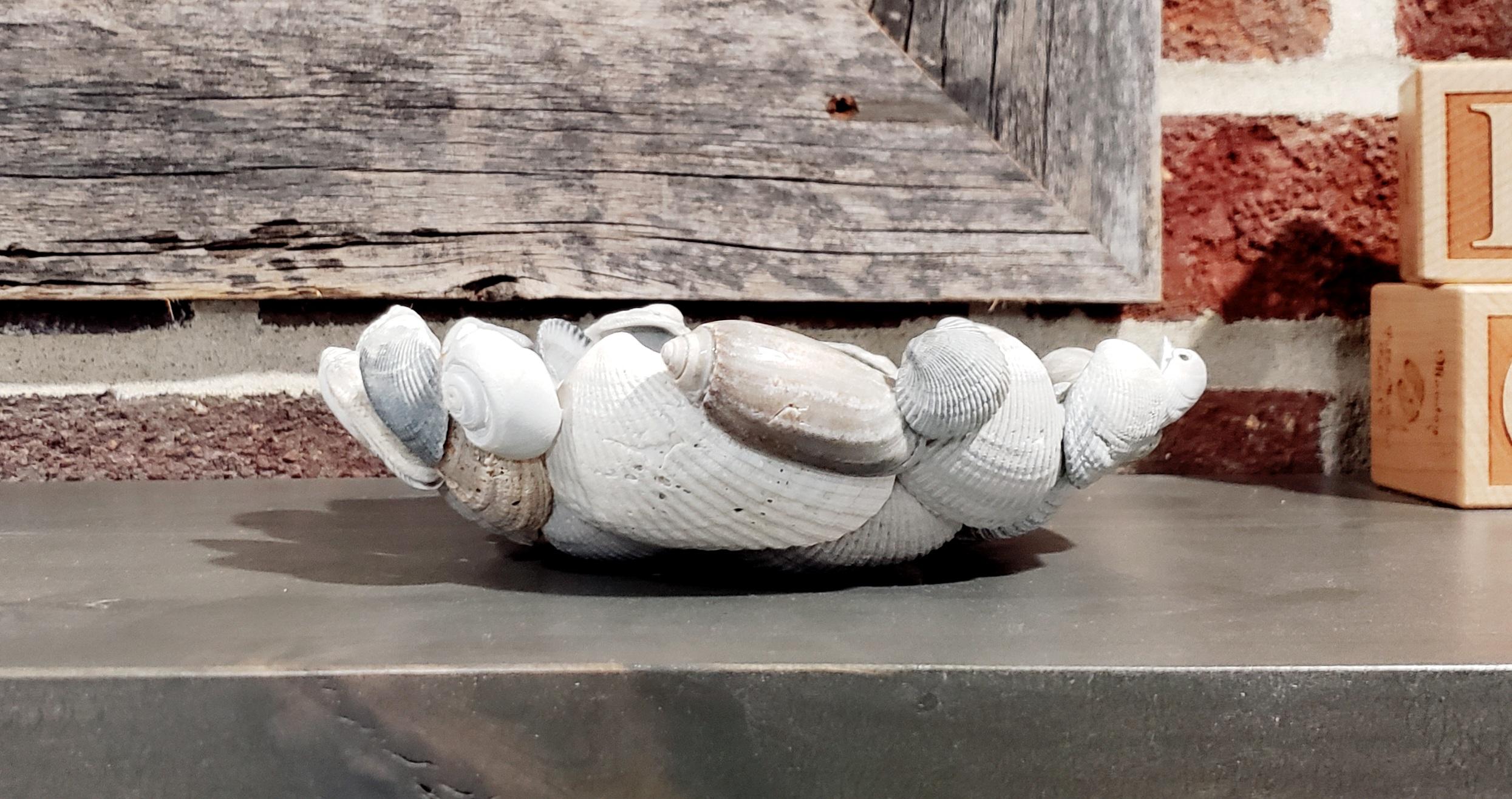 Vacation Memento Shell Bowl : 4 Steps (with Pictures) - Instructables