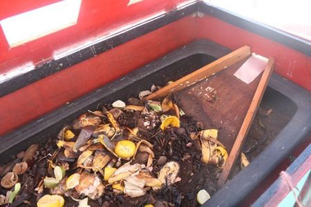 Compost With Black Soldier Flies : 6 Steps - Instructables