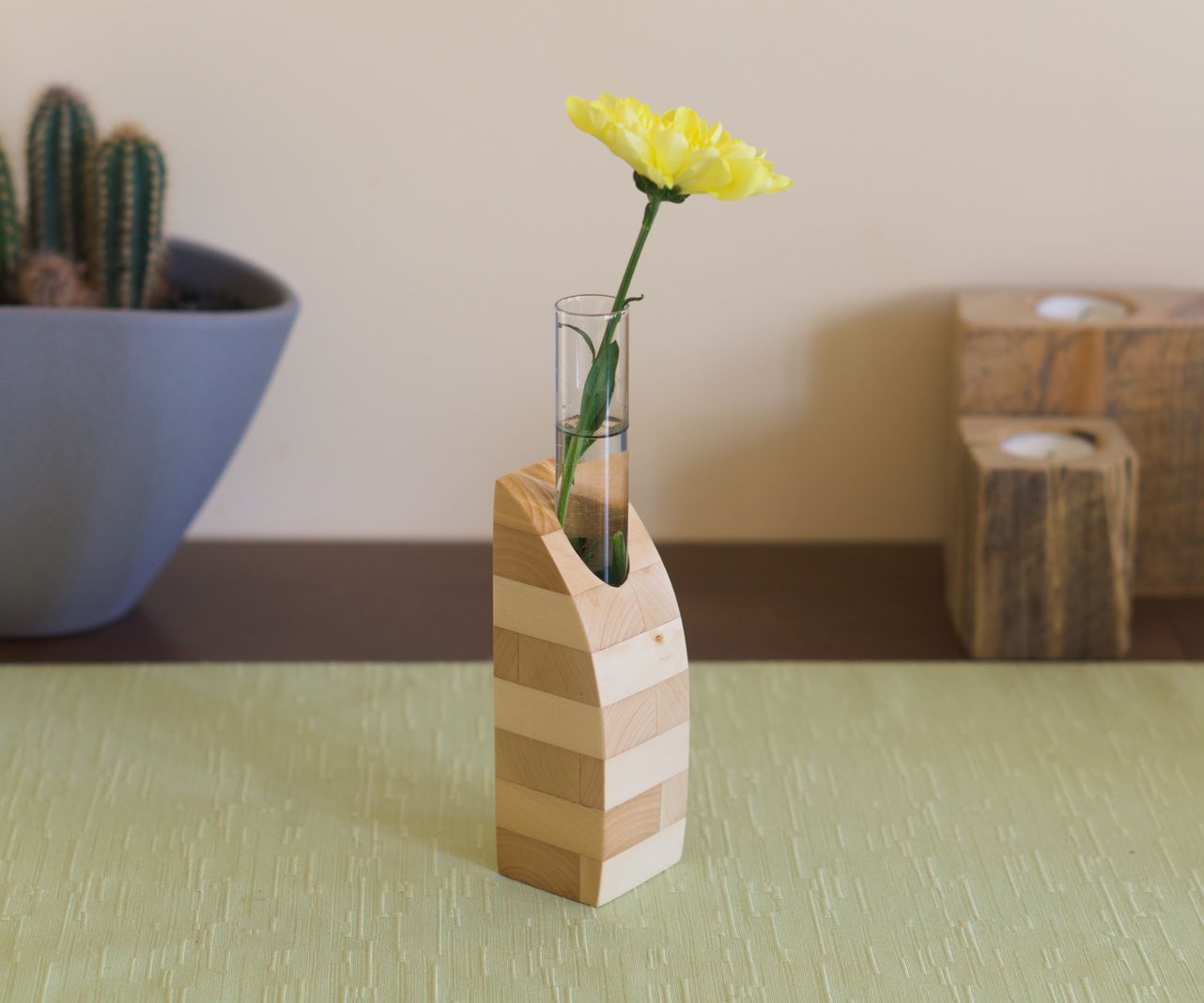 Test Tube Vase : 10 Steps (with Pictures) - Instructables