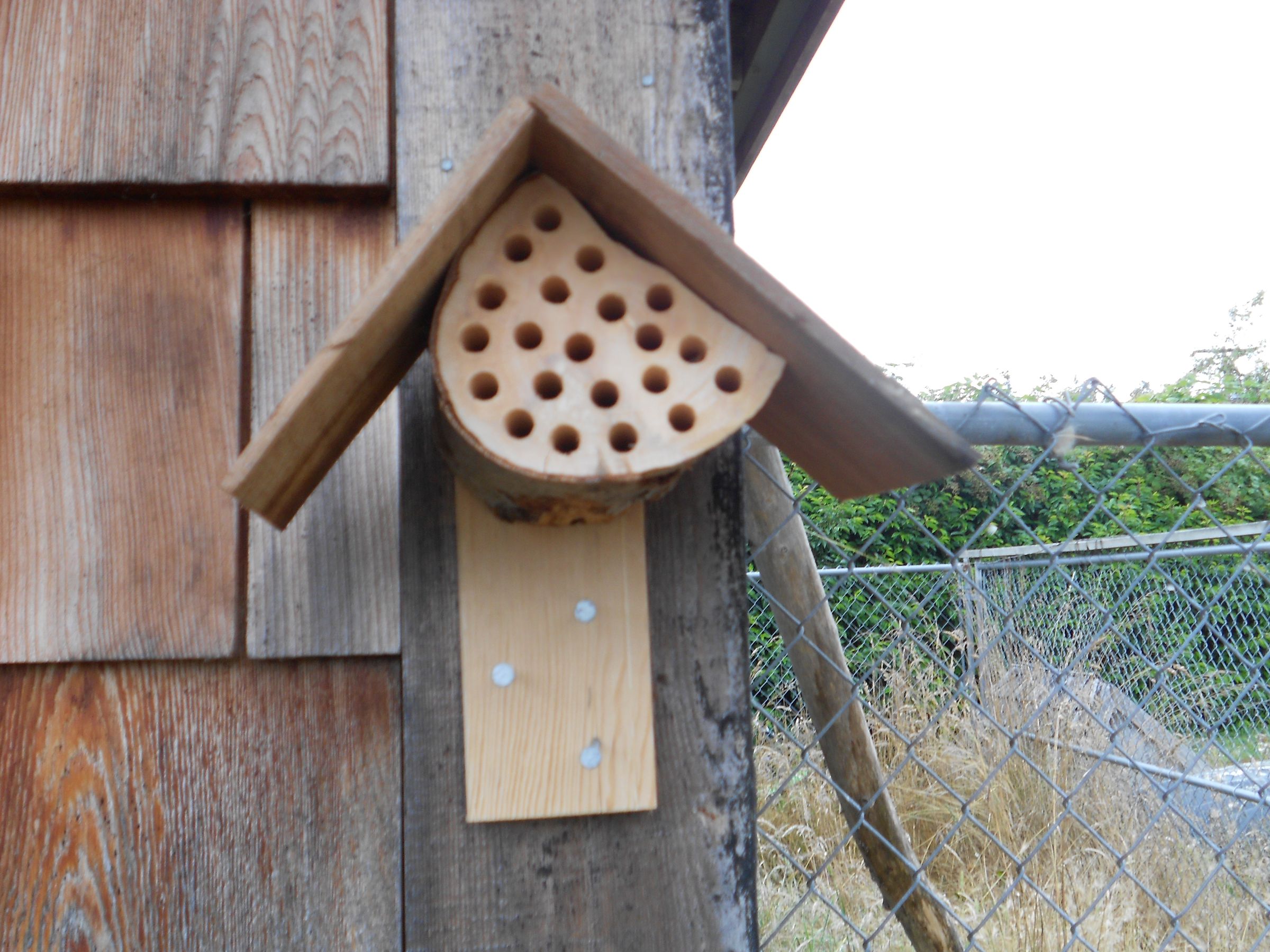 Make Your Own Little Bee Houses : 8 Steps (with Pictures) - Instructables