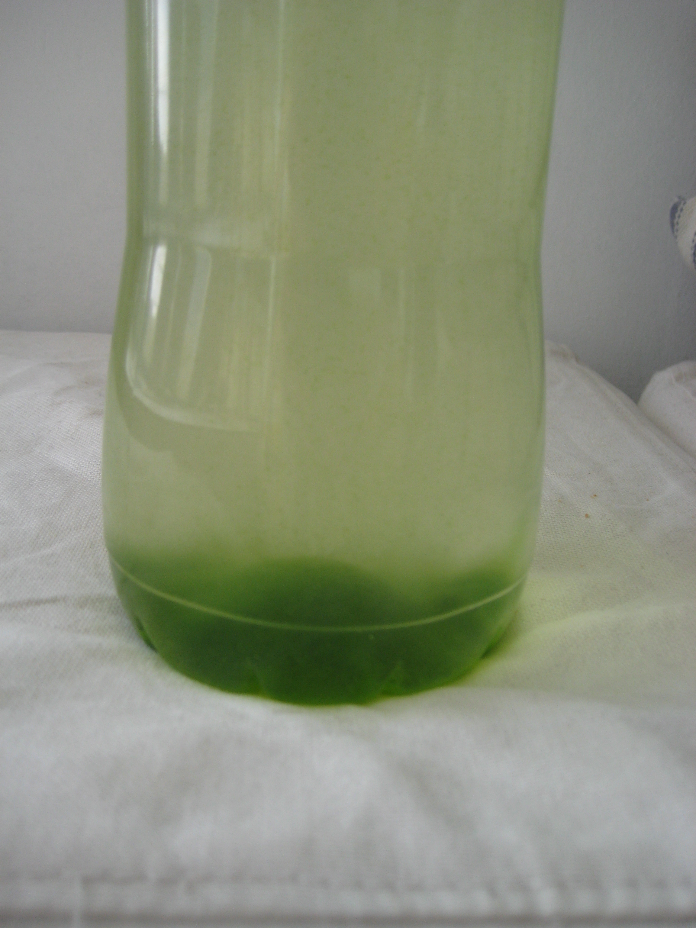 The Algae Experiment: How to Build Your Own Algae Photo-bioreactor ...