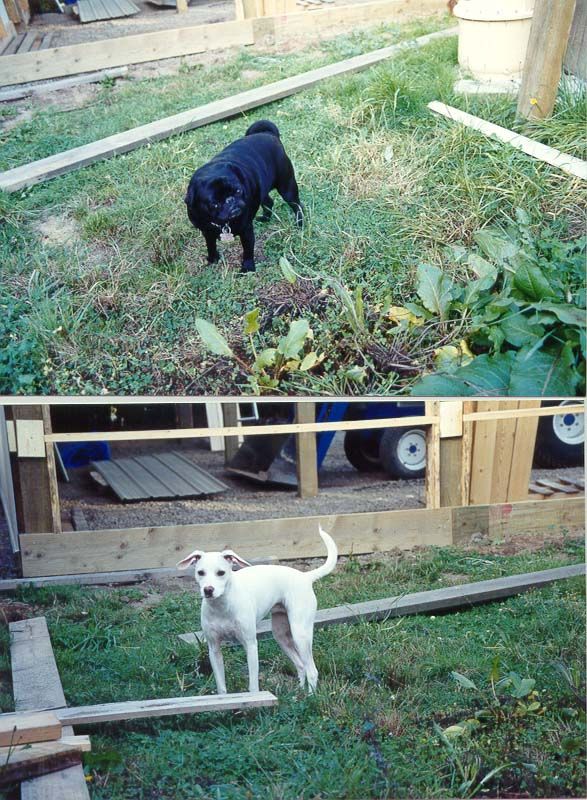 Perfect Paper Cube: Laying Out a Project Using Parallel Line ...