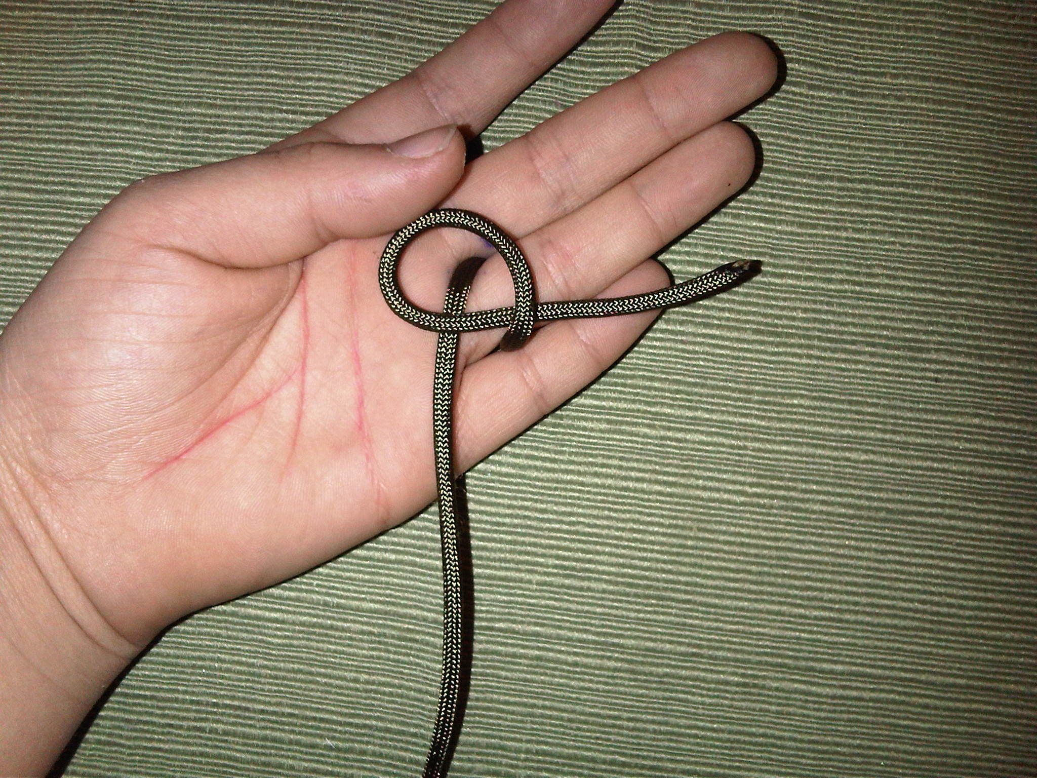 How to Tie the Lanyard Knot : 6 Steps (with Pictures) - Instructables