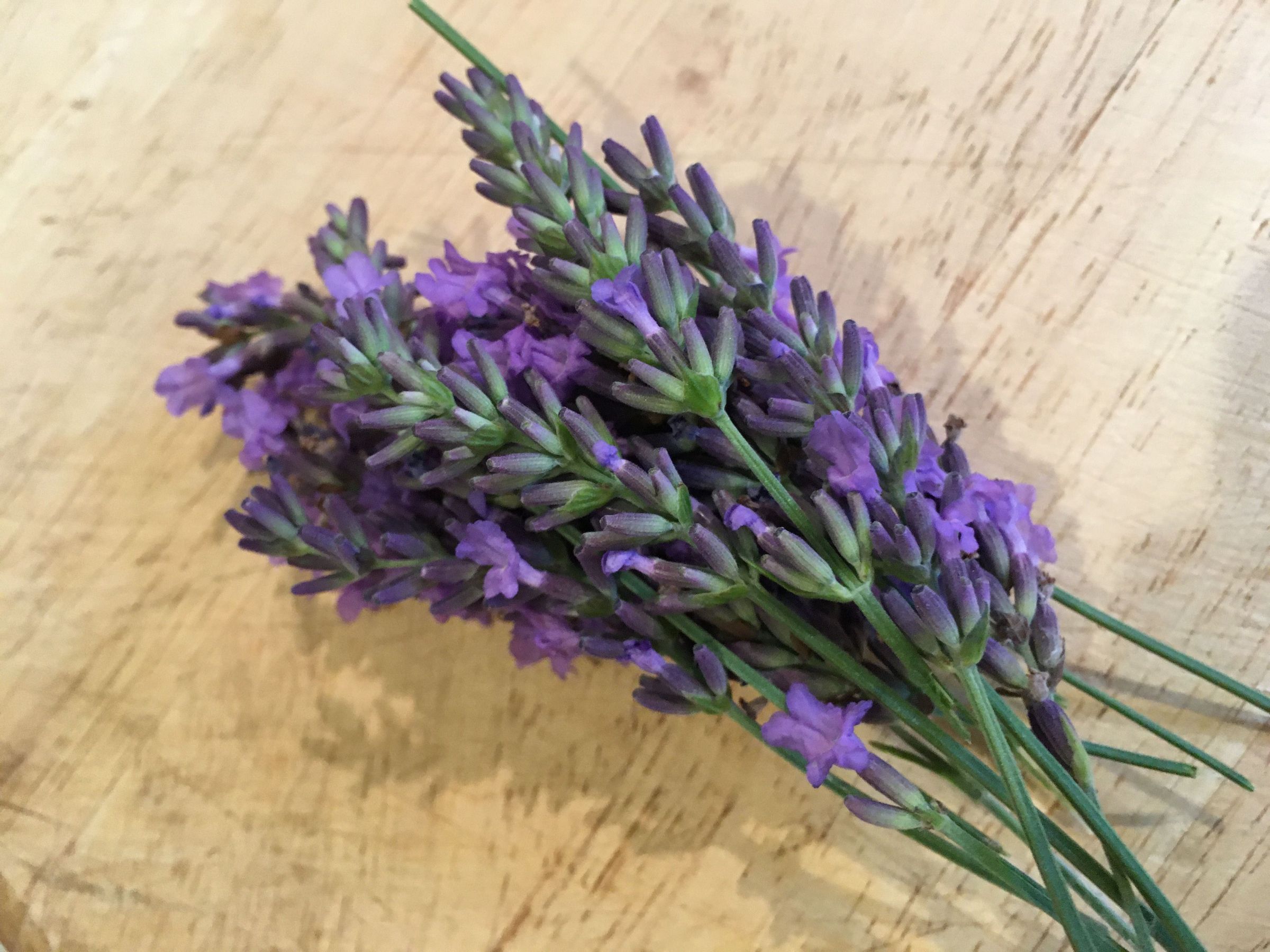 Home Made Ink From Nature: Perfect Purples : 18 Steps (with Pictures ...