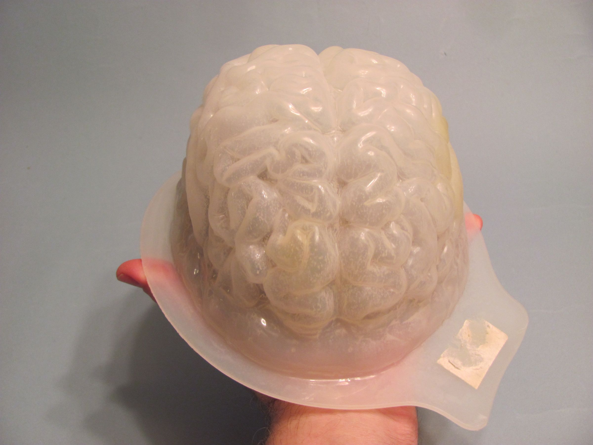 'Brain Food' (Jello Brain) : 8 Steps (with Pictures) - Instructables