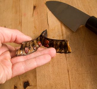 How to Process Carob : 7 Steps (with Pictures) - Instructables
