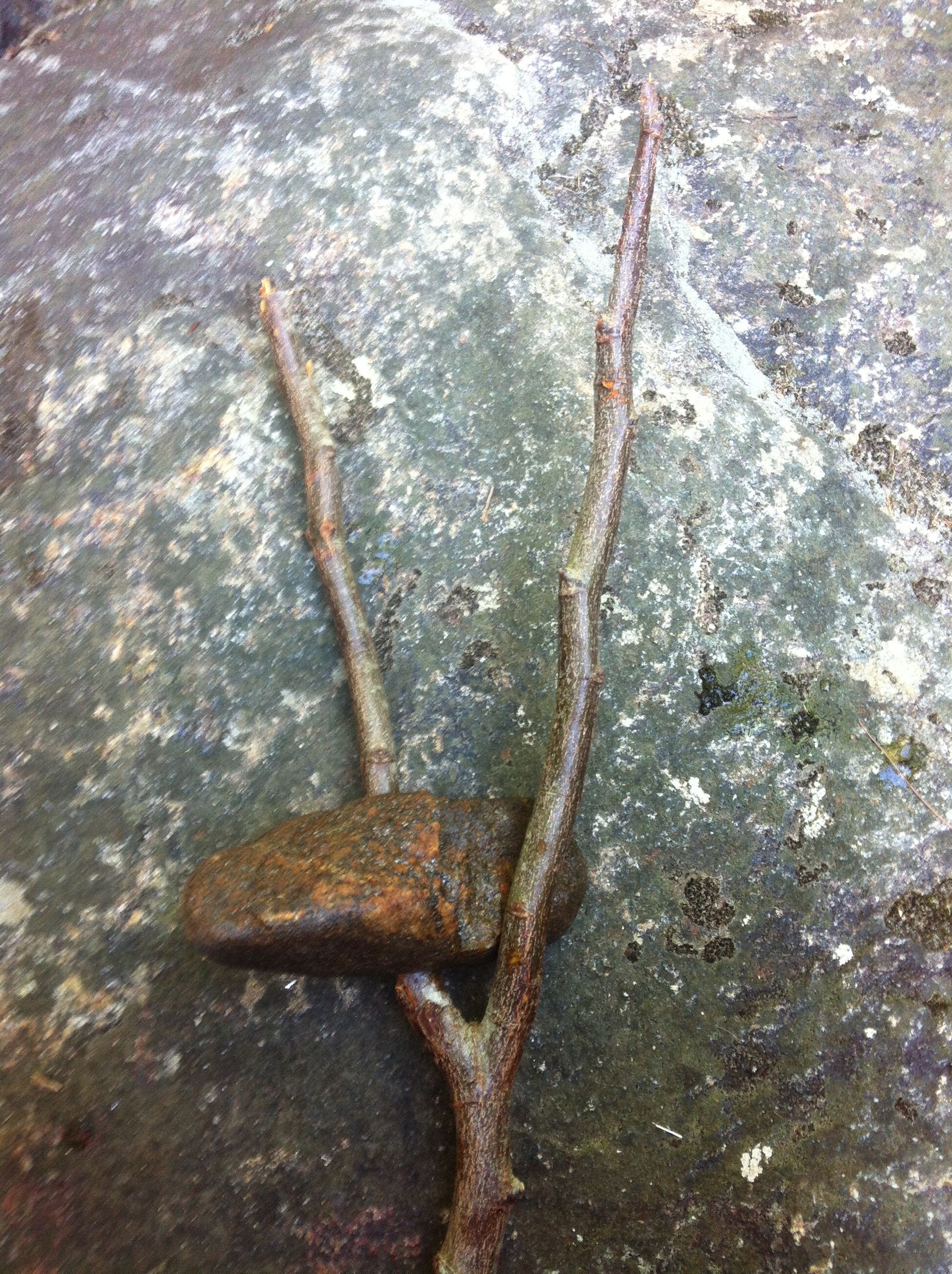 No Tool Build! Caveman Hammer : 7 Steps - Instructables