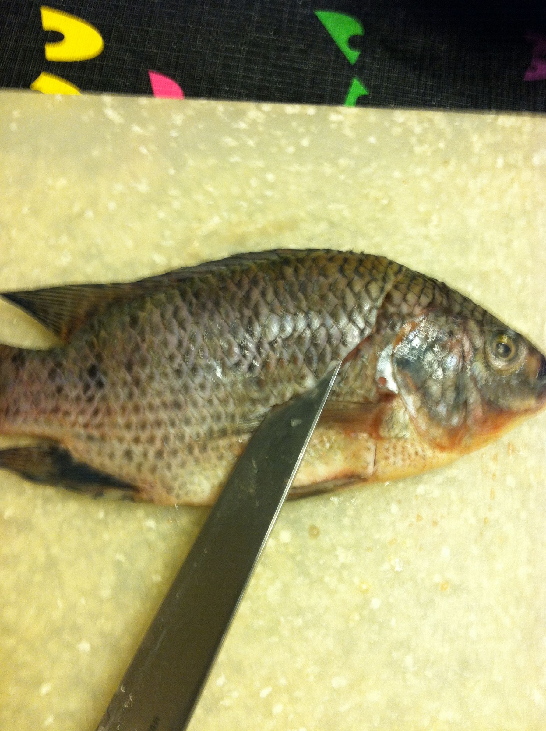 How to Clean a Fish : 6 Steps (with Pictures) - Instructables