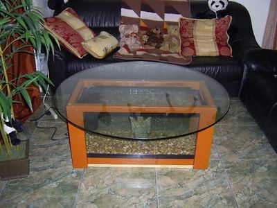 Table Top Aquarium : 8 Steps (with Pictures) - Instructables