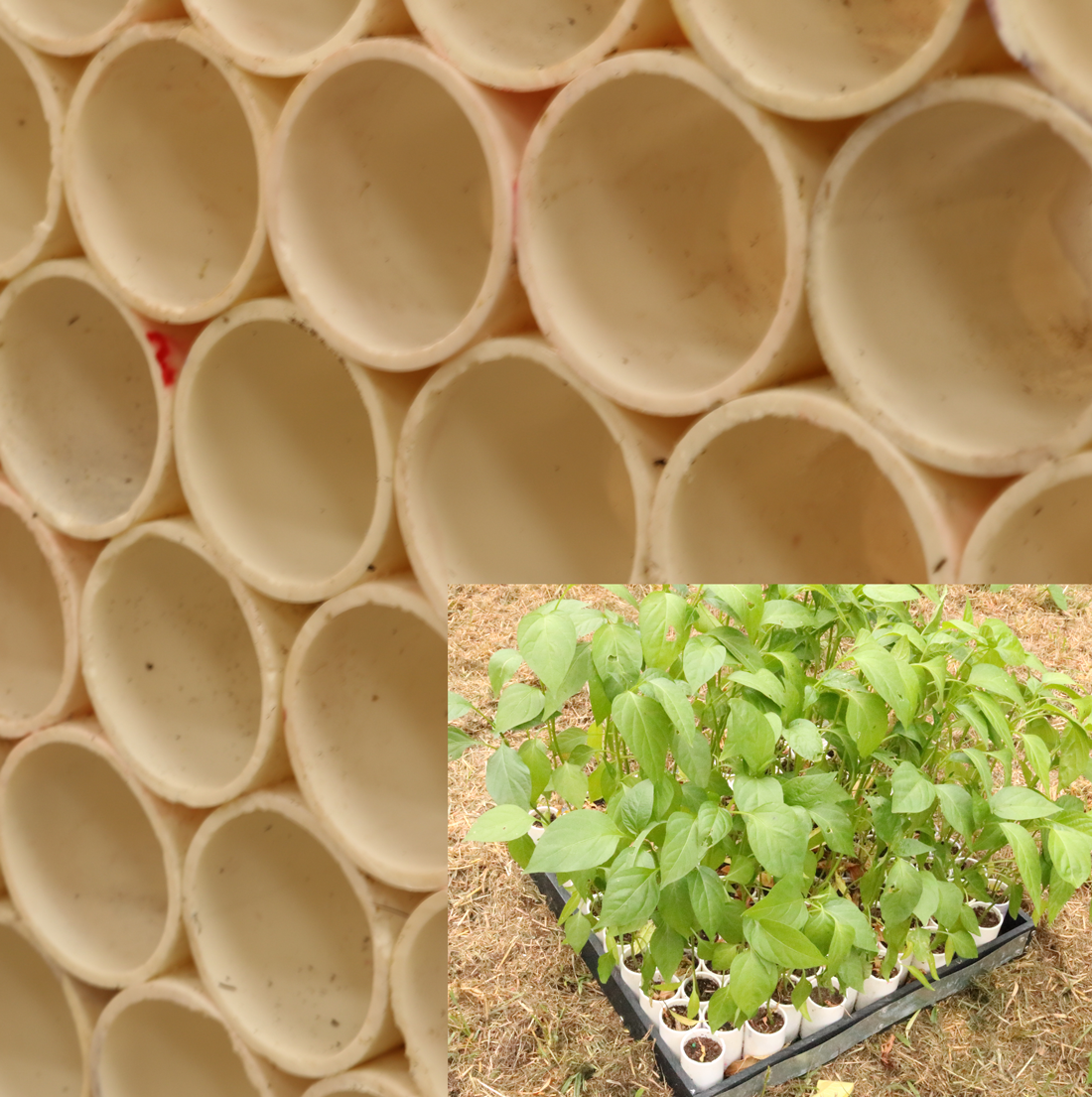 Honeycomb PVC Planters : 8 Steps (with Pictures) - Instructables