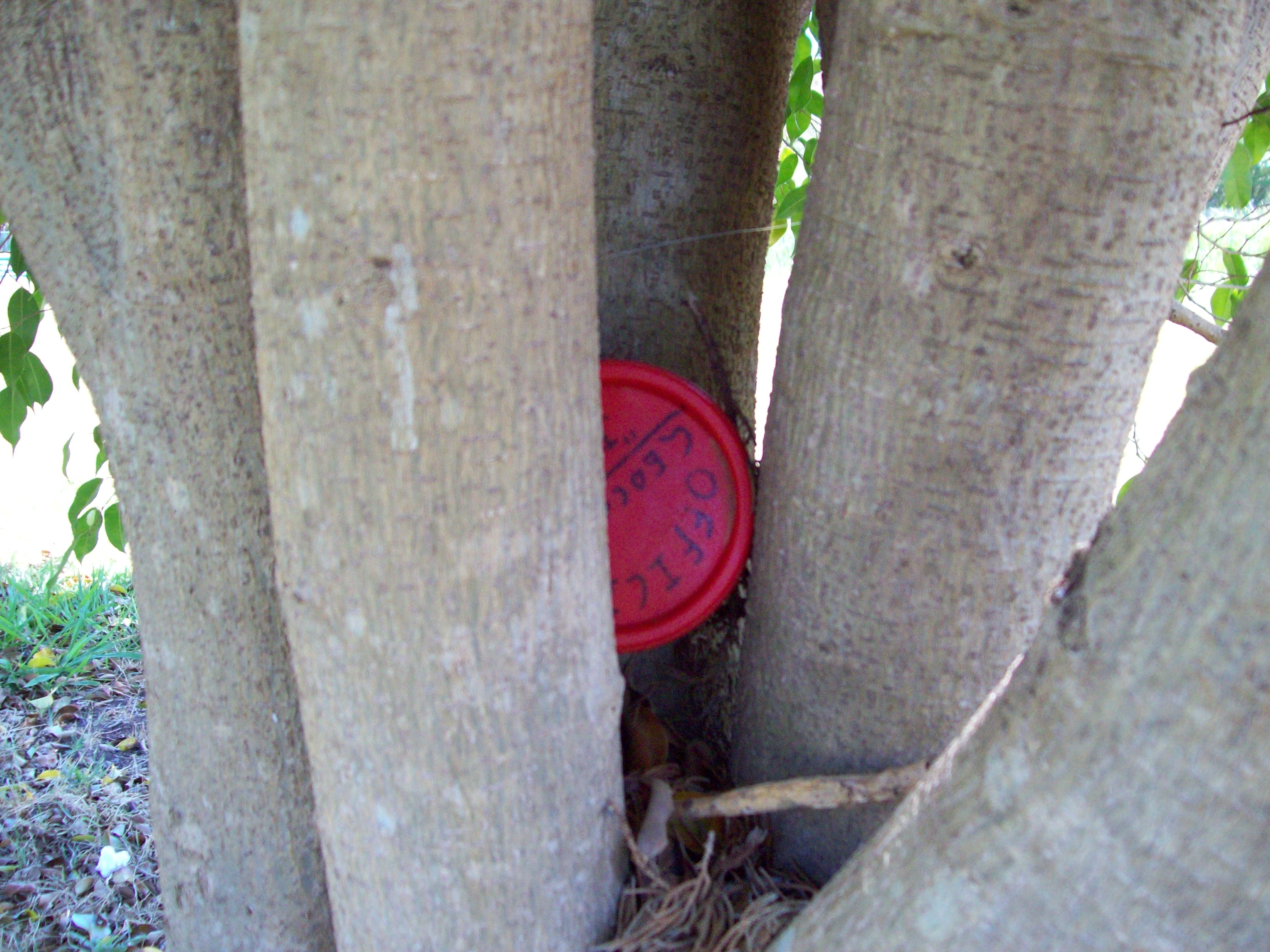 How to Make a Geocache : 8 Steps (with Pictures) - Instructables