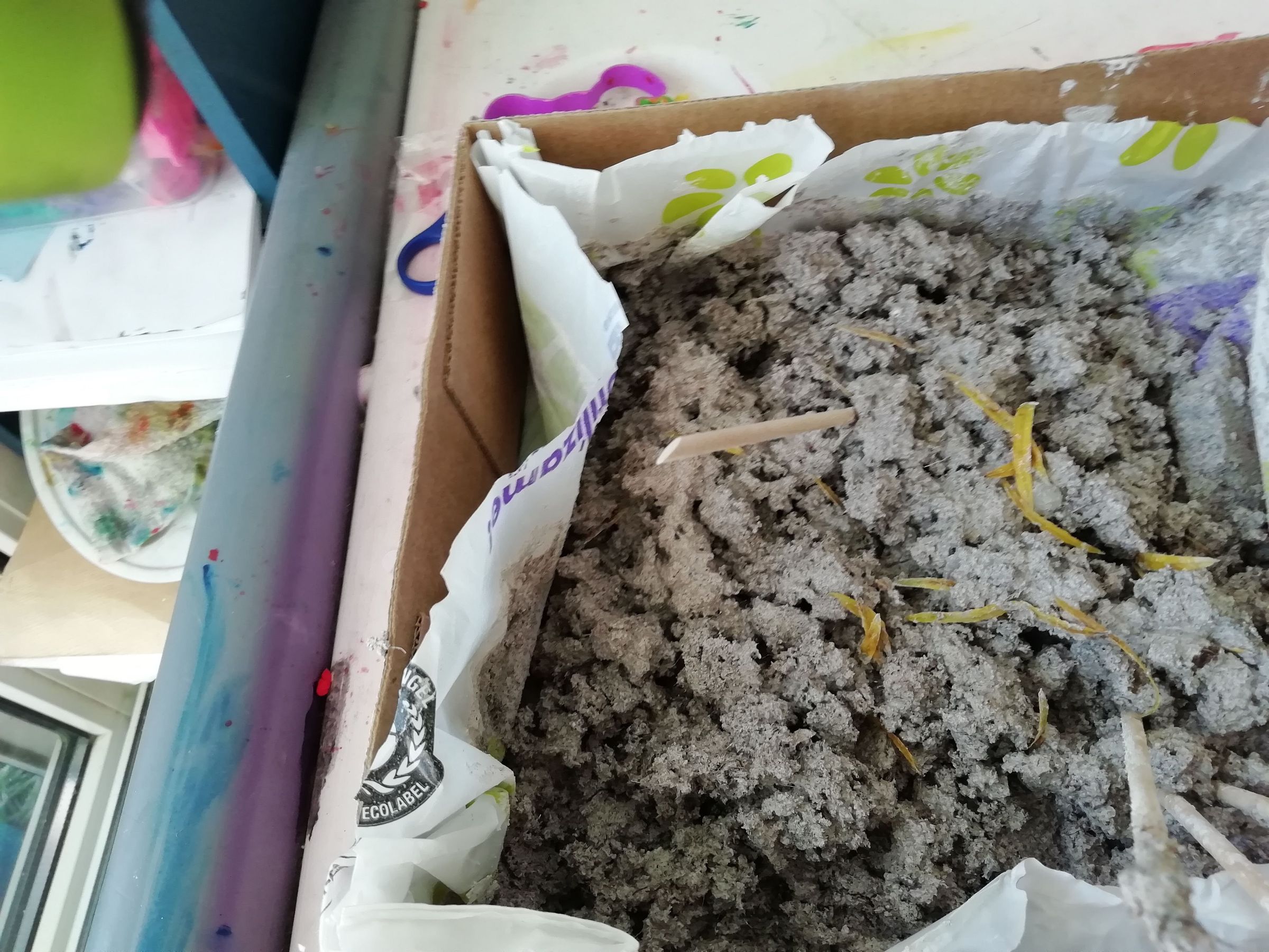 Excavation Kit (educational, DIY, for Kids) : 5 Steps (with Pictures ...