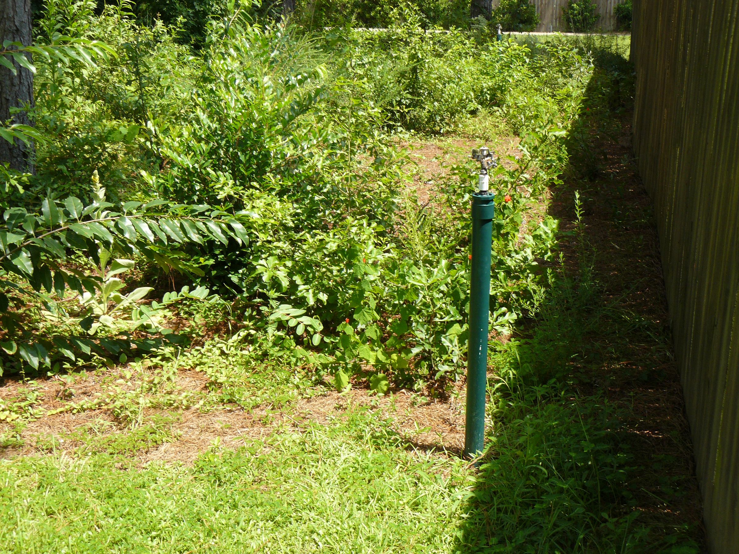 Tall Irrigation Head : 3 Steps (with Pictures) - Instructables