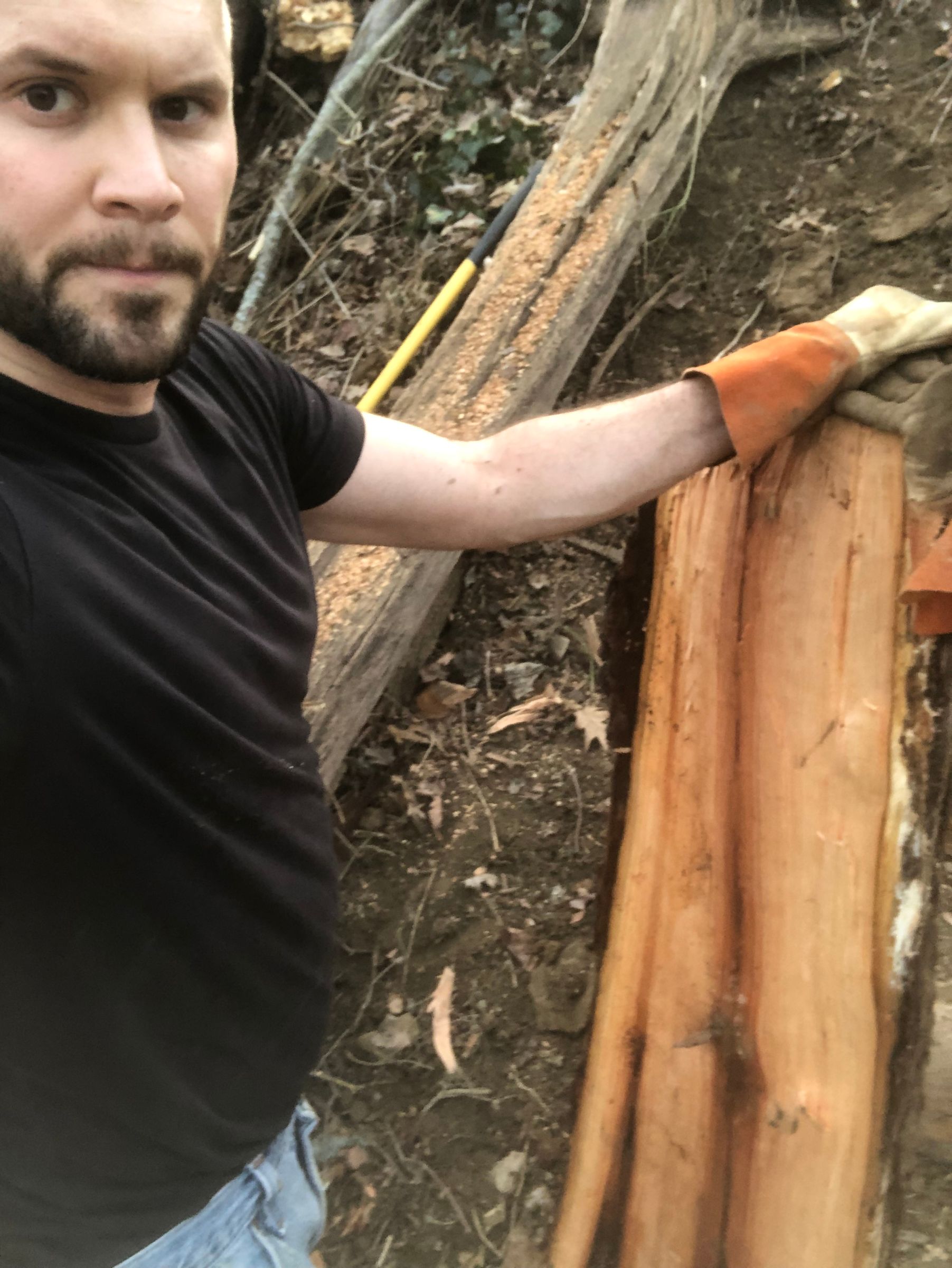 Log Path Cut Into a Hill : 5 Steps (with Pictures) - Instructables