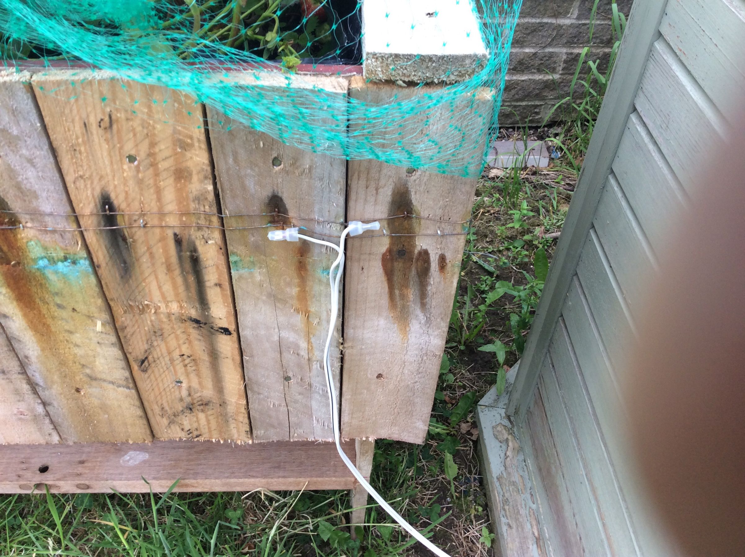 Raised Bed Electric Slug Fence : 3 Steps (with Pictures) - Instructables