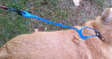 Fix for Broken Gas Cap Tether / Lanyard (3D Printed) : 9 Steps (with ...