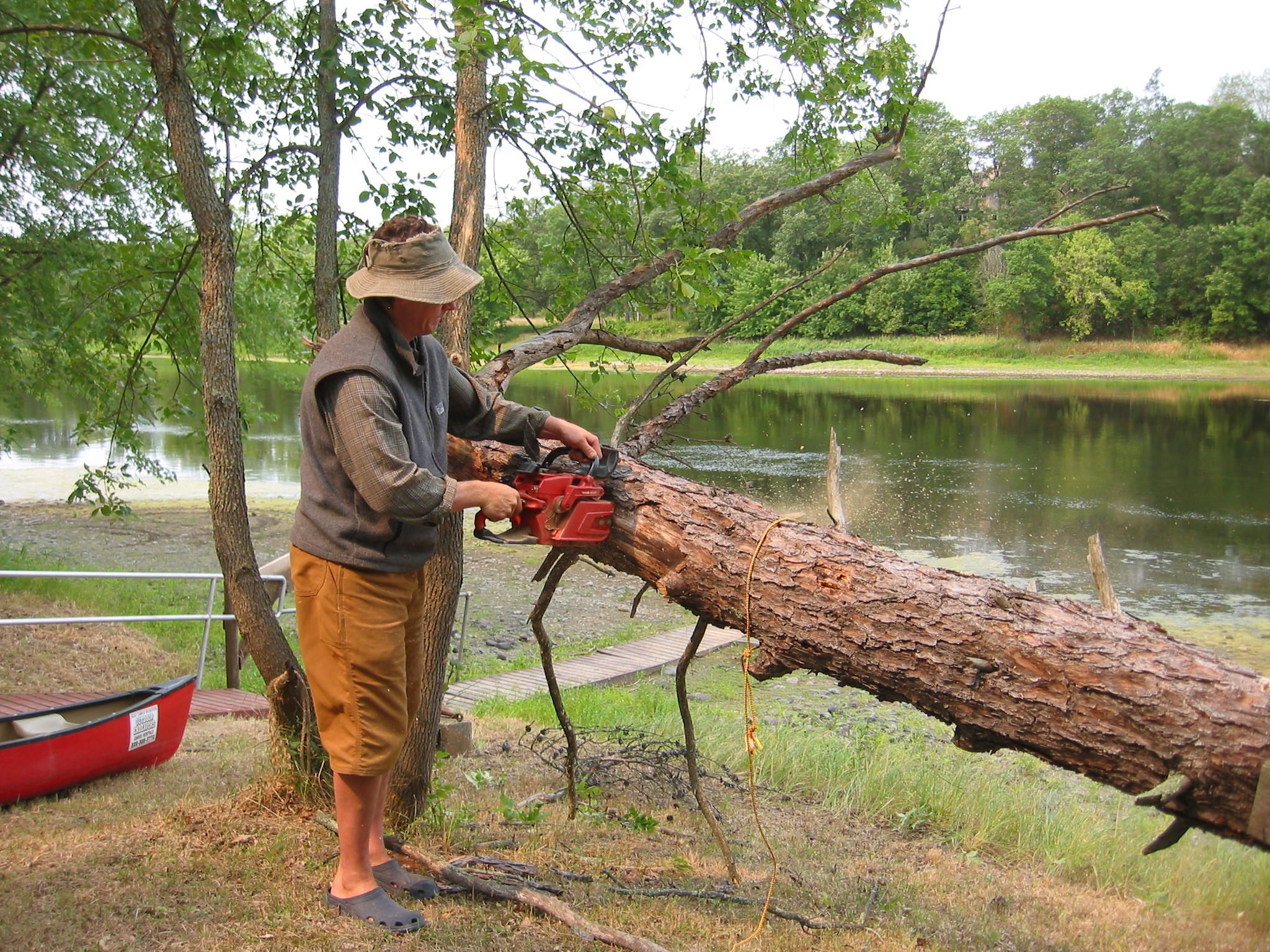 How to Cut Down a Tree : 6 Steps - Instructables