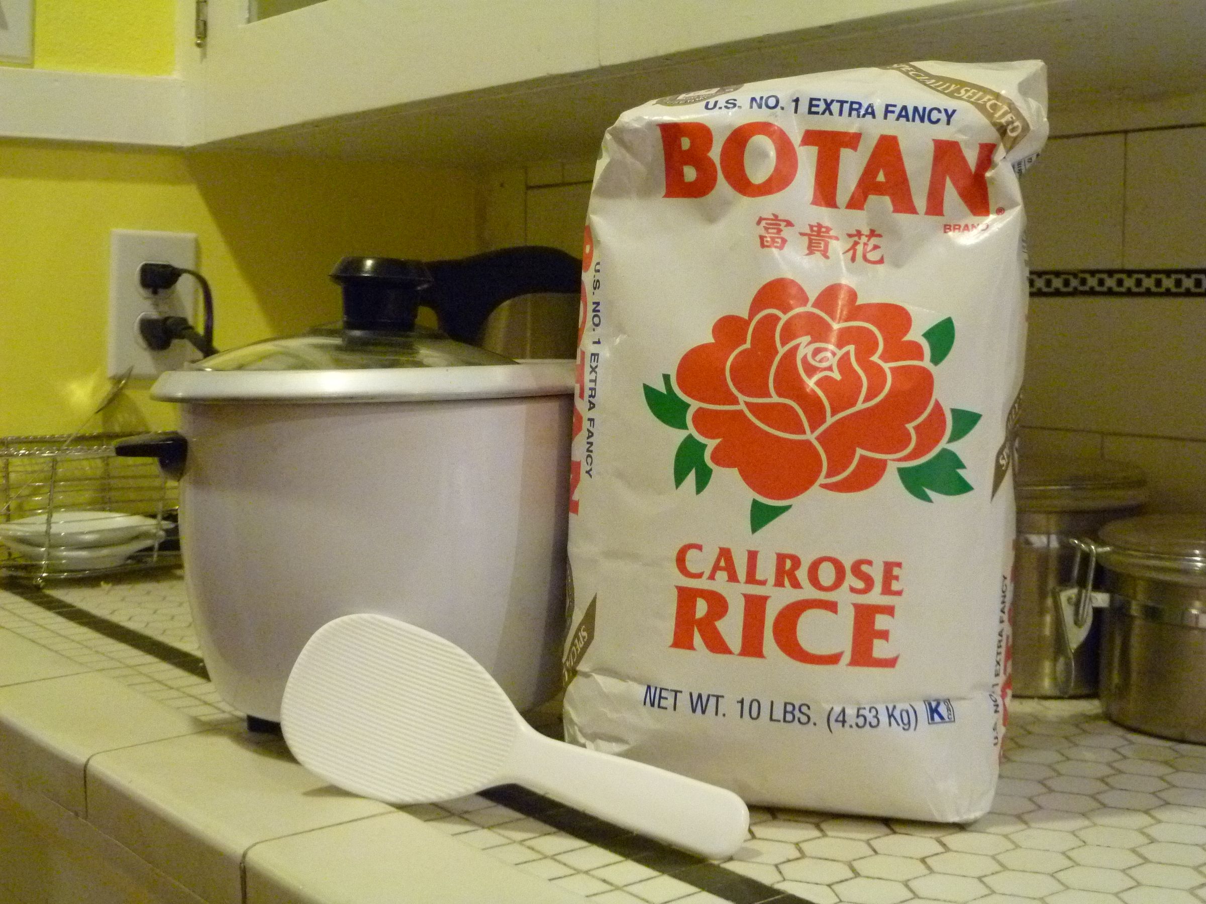 How to Make Perfect Sticky Rice Using a Rice Cooker : 7 Steps ...
