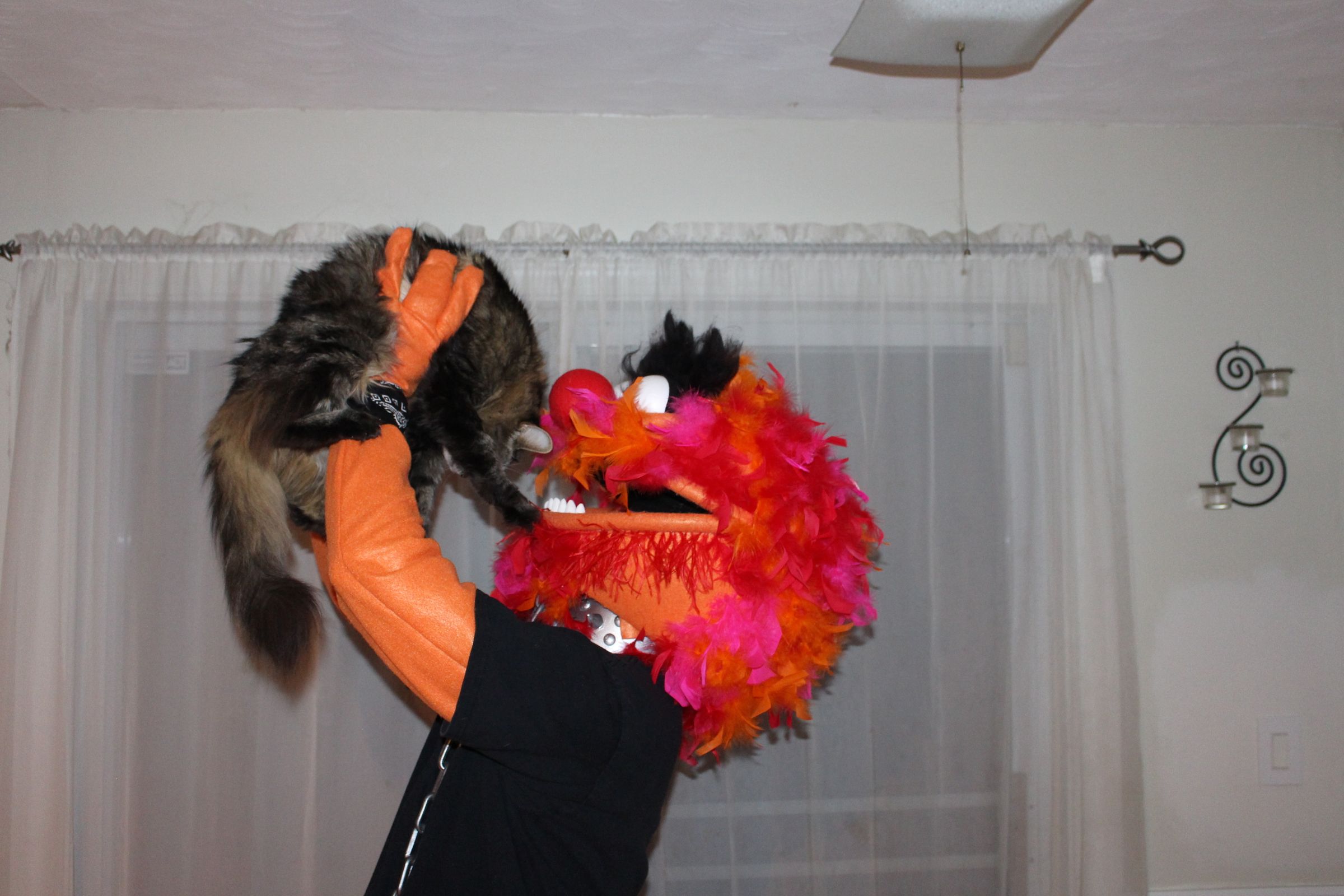 Animal (Muppet) - Costume : 8 Steps (with Pictures) - Instructables