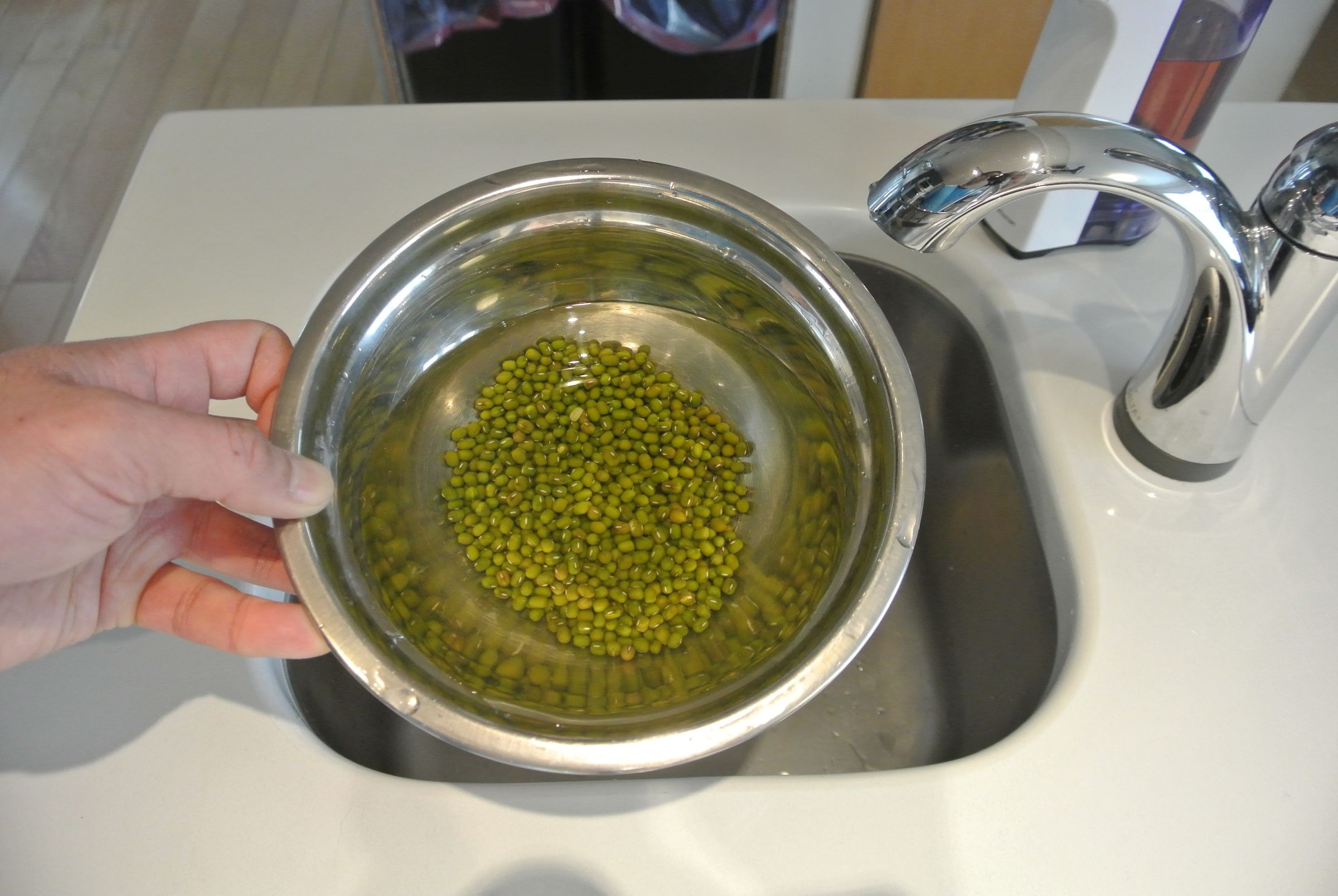 Growing Bean Sprouts : 7 Steps (with Pictures) - Instructables