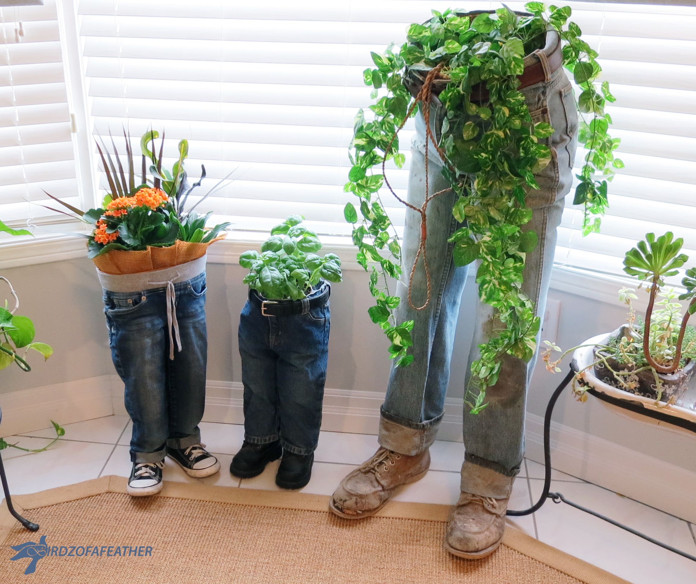 Blue Jean Planters : 11 Steps (with Pictures) - Instructables