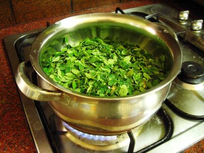 How to Cook Moringa Leaves : 7 Steps (with Pictures) - Instructables