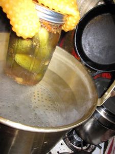 Pickle Anything! Basic Pickle Instructions : 6 Steps (with Pictures ...