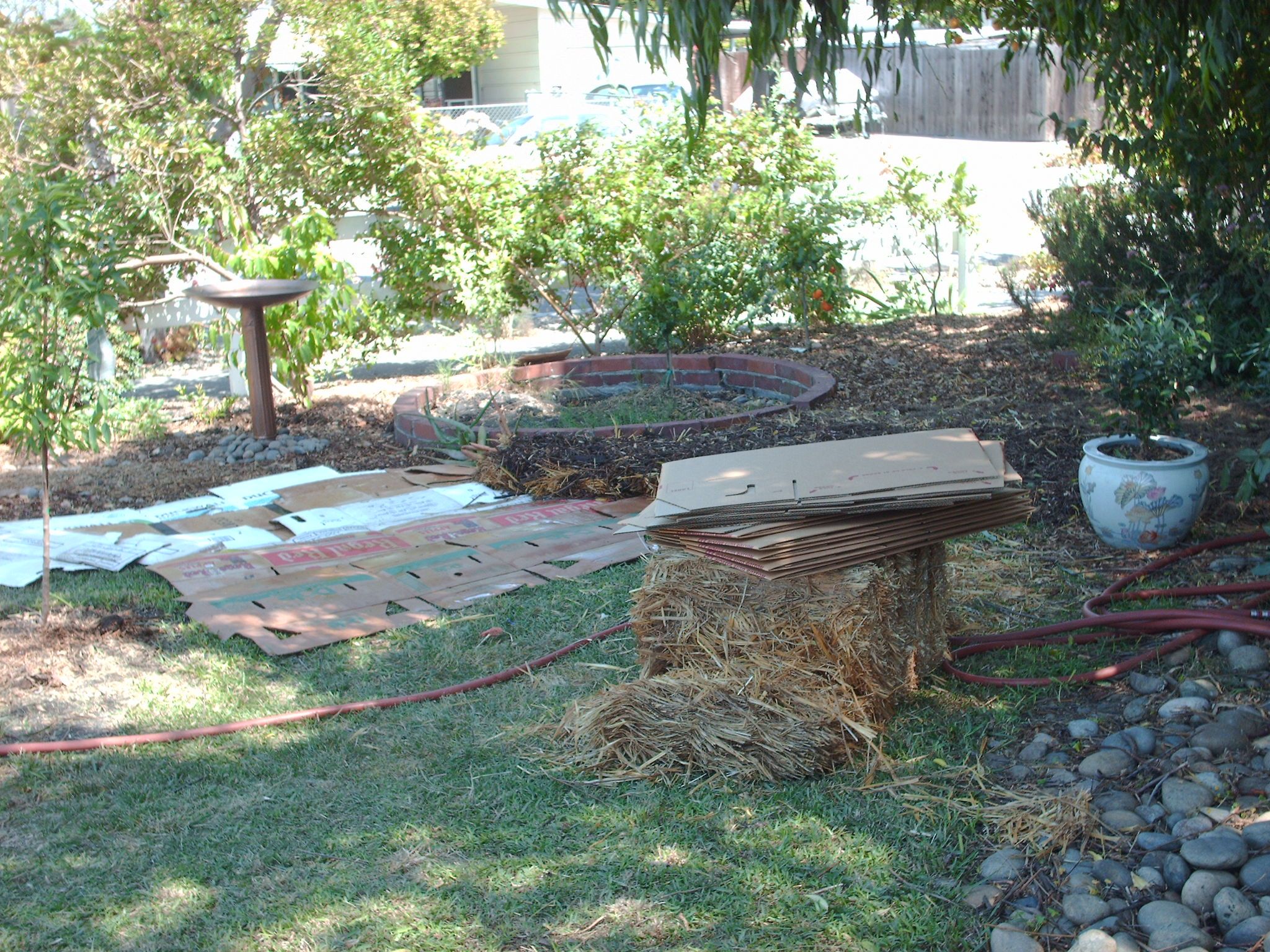 Drought Tolerant Front Yard - Converting Lawn to Soil : 8 Steps (with ...