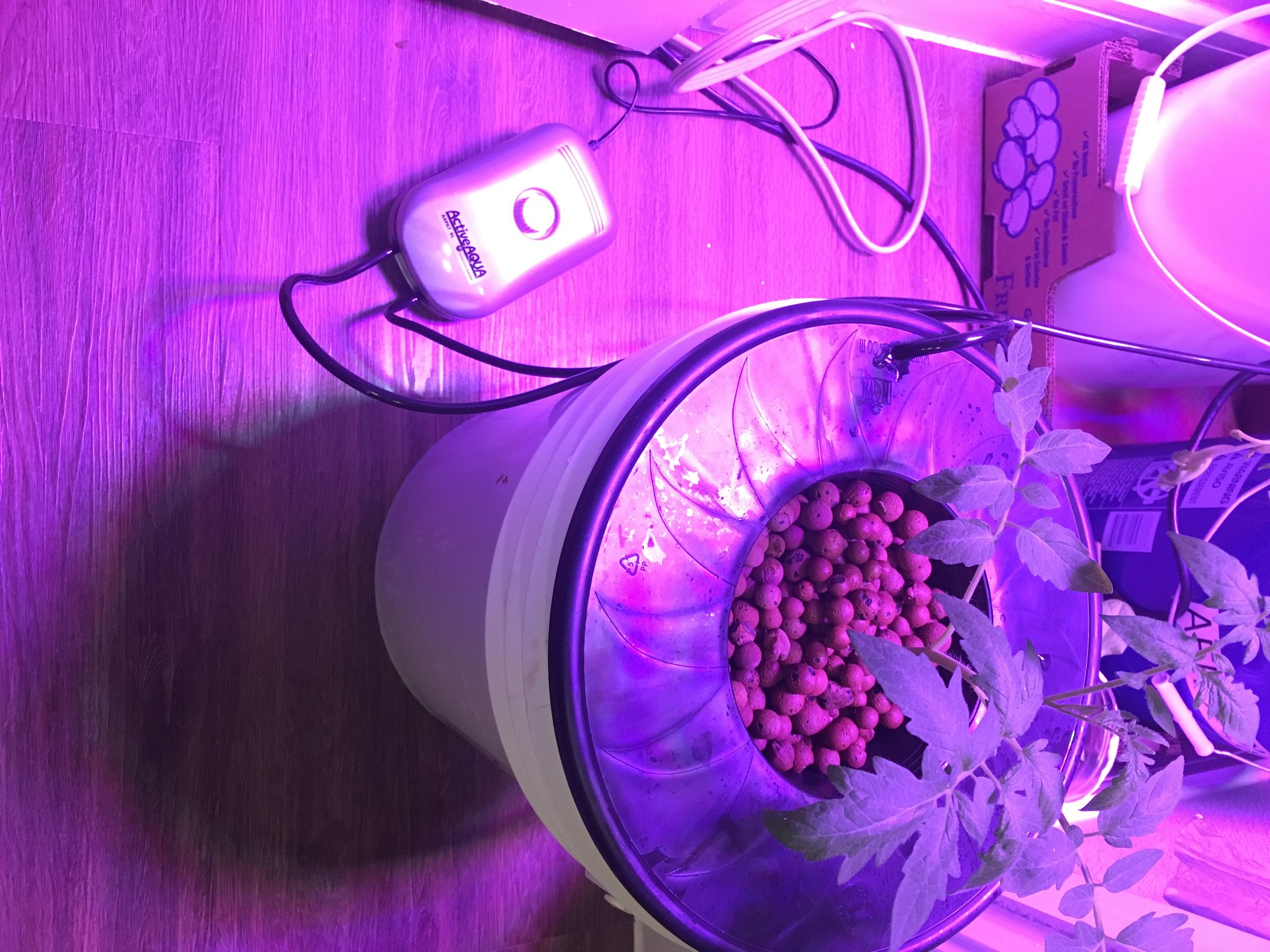 Lettuce for Life - Arduino 101 Based Automated Controller for Hydroponics, Aeroponics ...