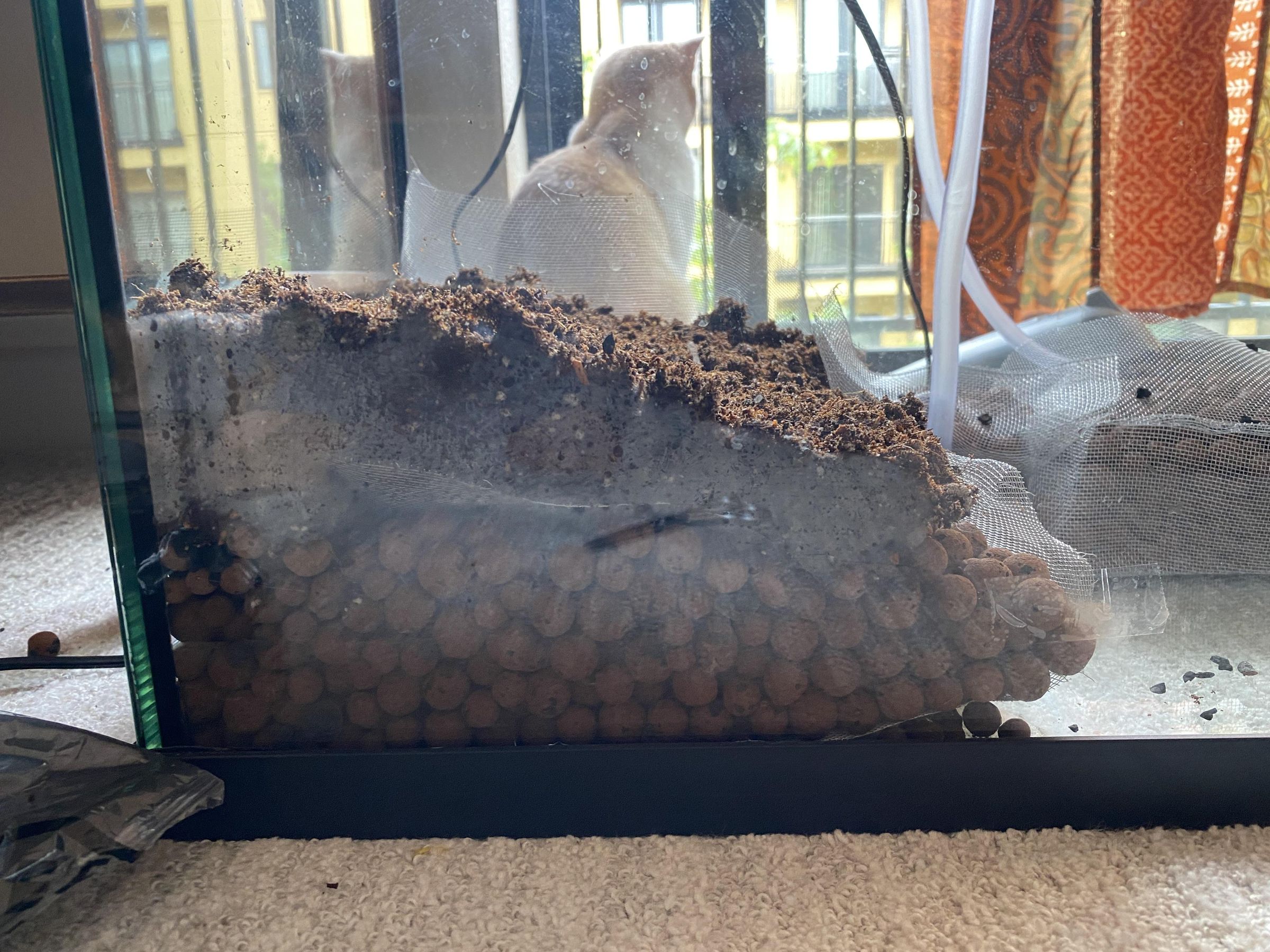 How to Build a Paludarium : 7 Steps (with Pictures) - Instructables