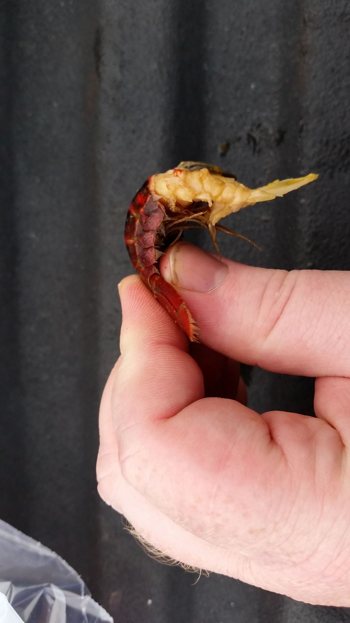 How to Peel Crawfish : 3 Steps (with Pictures) - Instructables