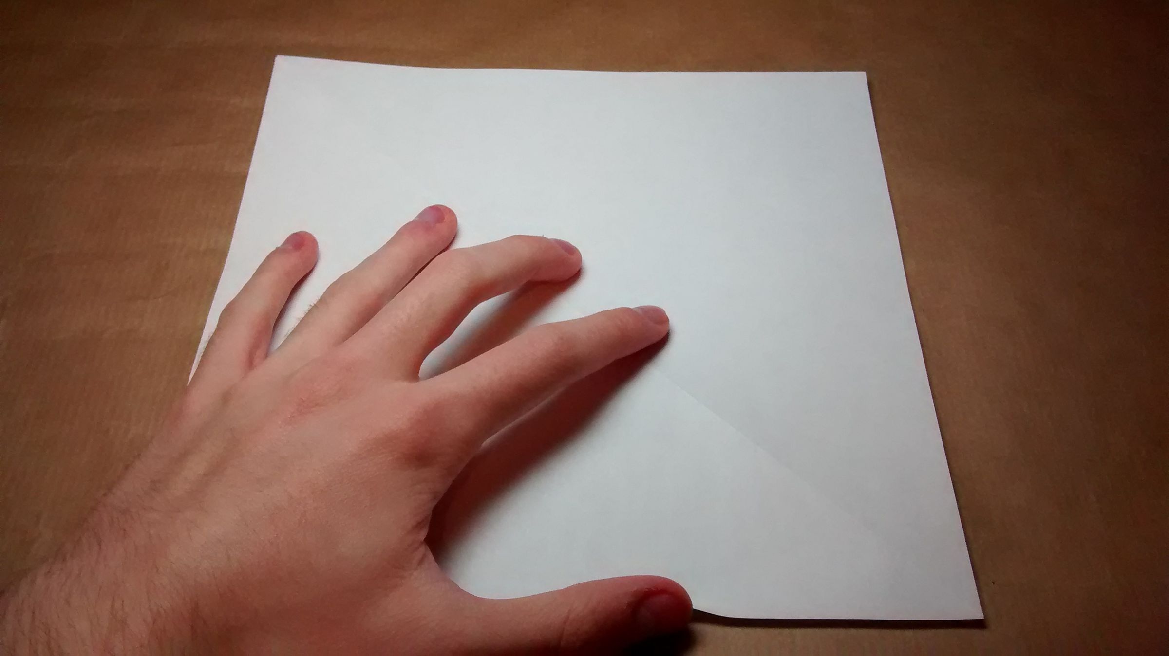 Pet Origami Rock and Manual : 4 Steps - Instructables