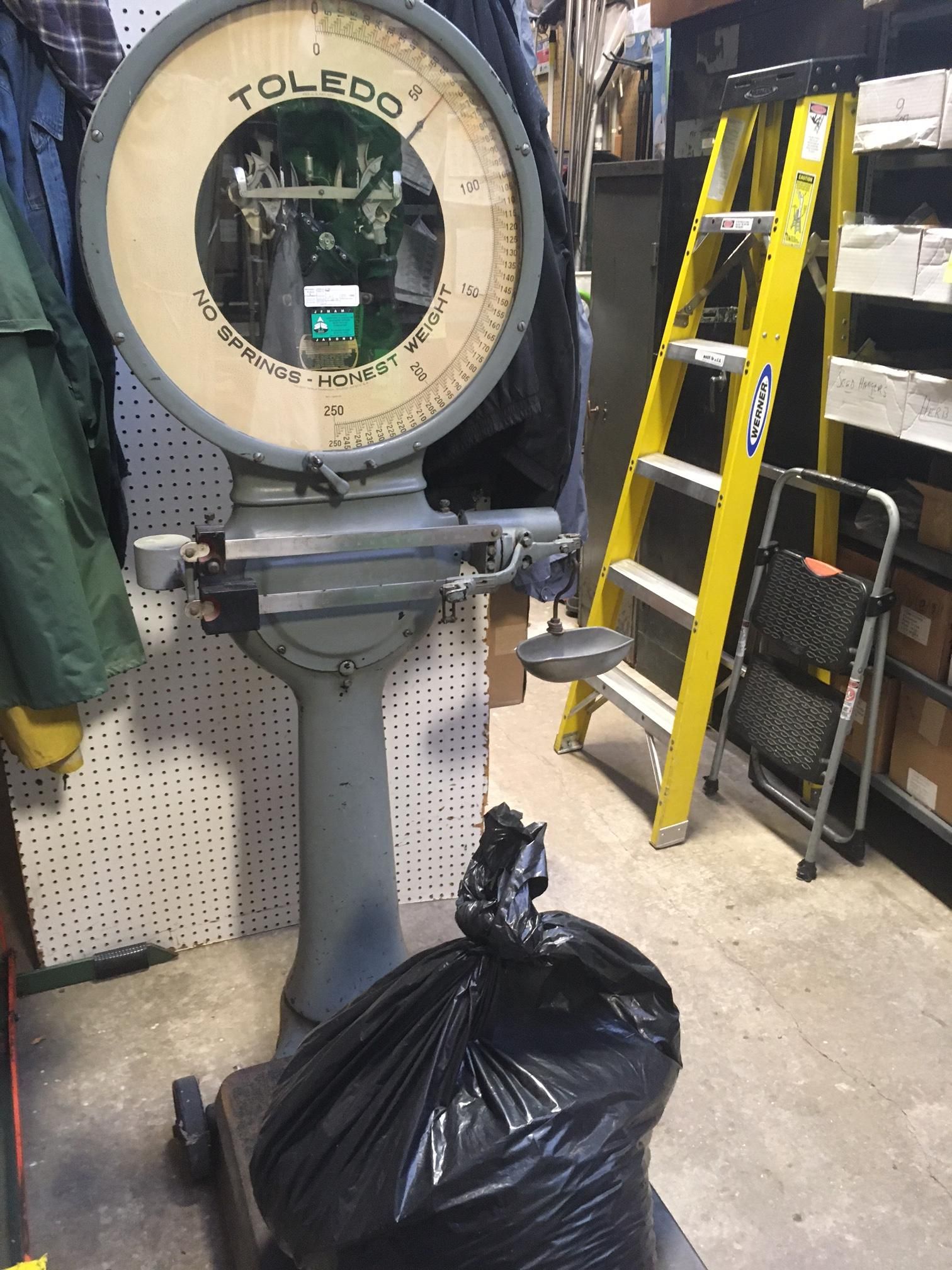 Harvesting and Processing Black Walnuts : 13 Steps - Instructables