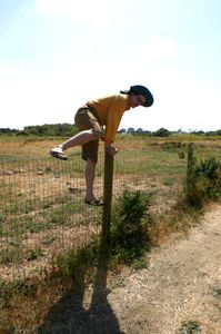 How to Jump Over a Fence : 7 Steps - Instructables