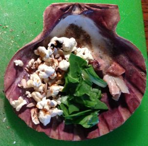 How to Spoil Your Hermit Crabs: Food Edition : 11 Steps (with Pictures ...