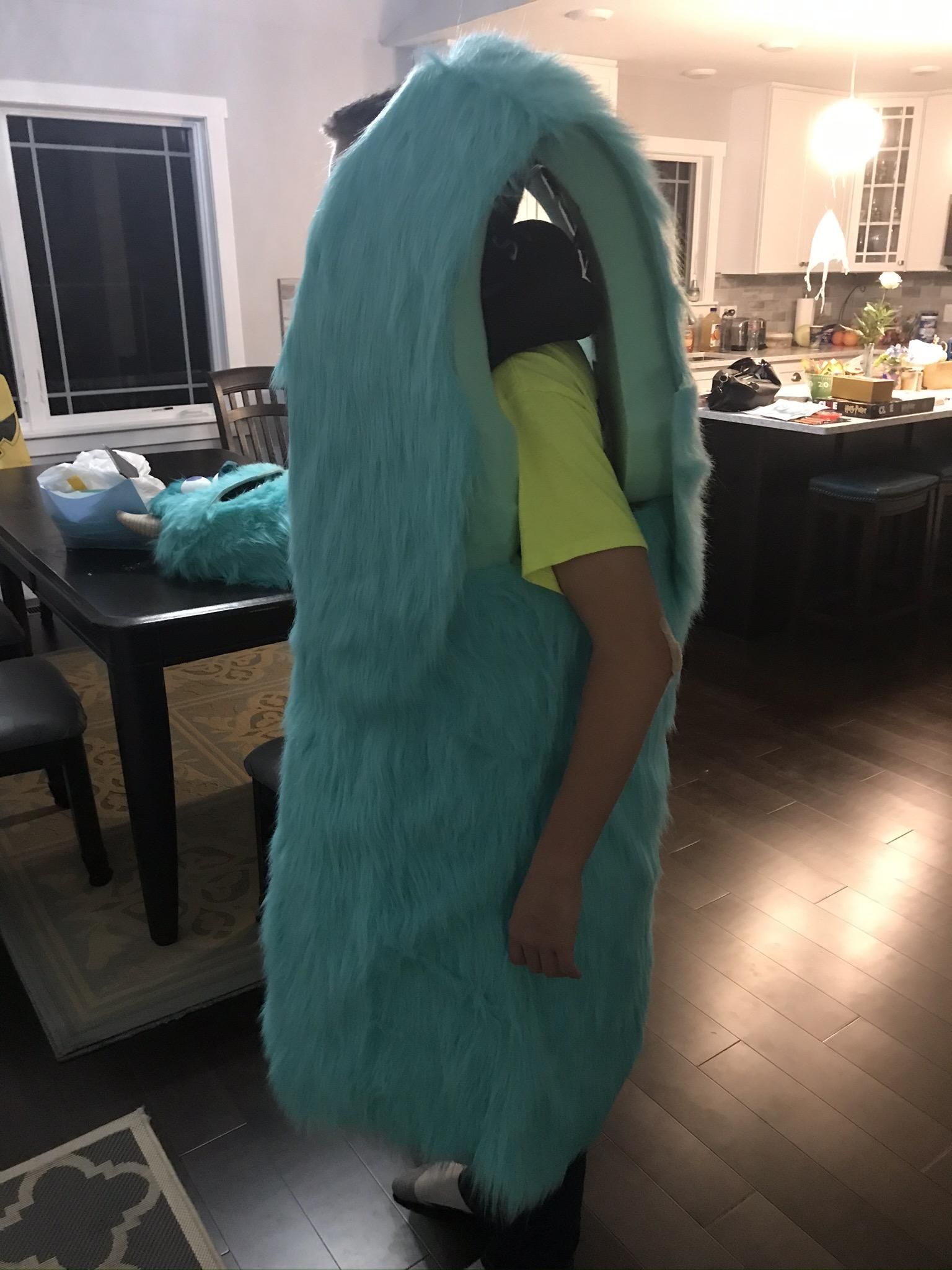 Sulley (Trademark Disney) Monster Homemade Halloween Costume : 11 Steps ...