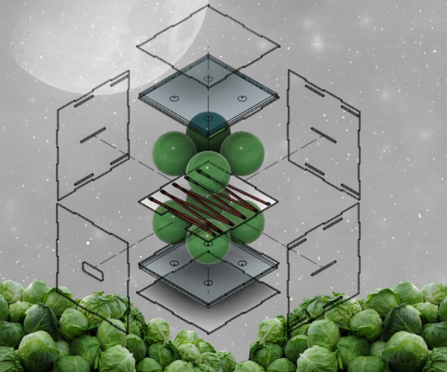 Cabbage Hydroponics : 4 Steps - Instructables