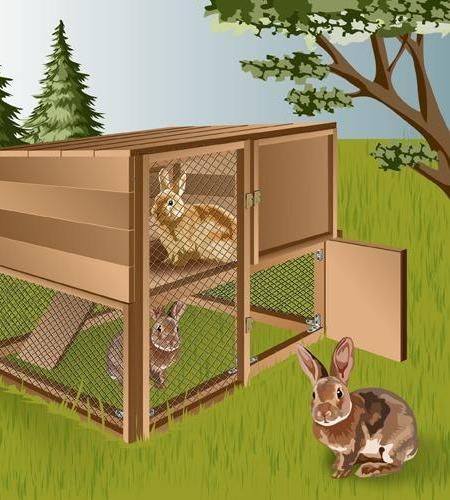 DIY Rabbit Hutch - Low Cost Make at Home : 10 Steps - Instructables