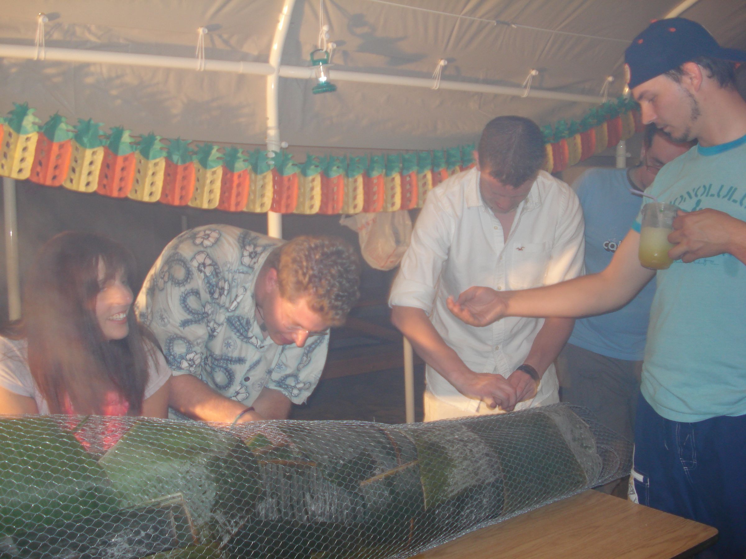 Luau Pig - Hawaiian Style (In the Ground With Hot Rocks) : 12 Steps ...