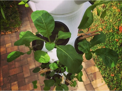 3D Printed Modular Hydroponic Garden : 7 Steps (with Pictures ...