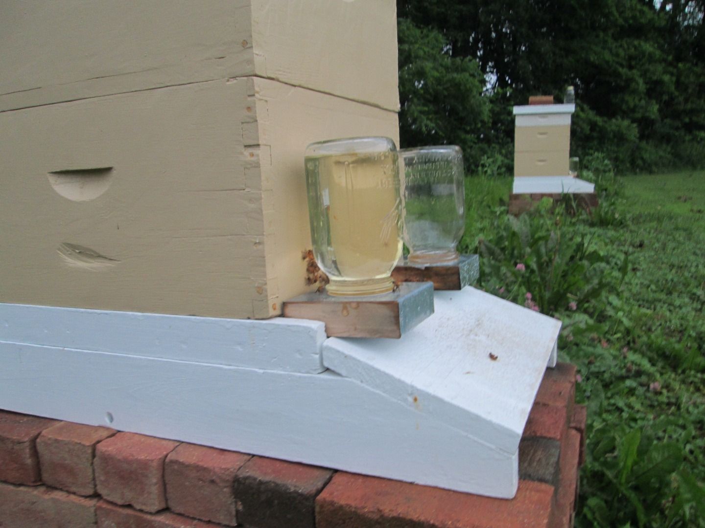 Entrance Bee Feeder : 8 Steps (with Pictures) - Instructables